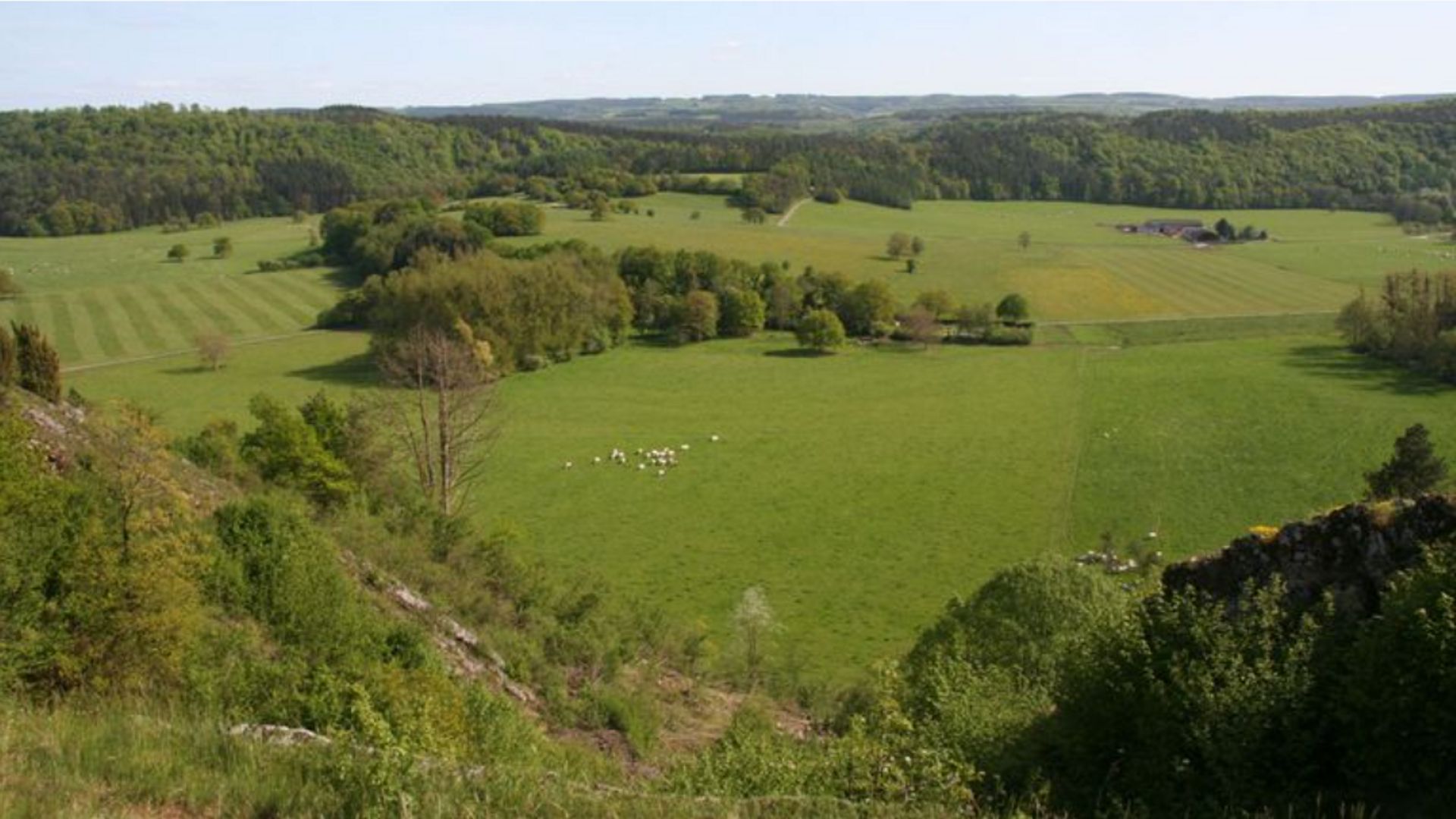 Zavali leaked onlyfans i just received a awe-inspiring FBSM