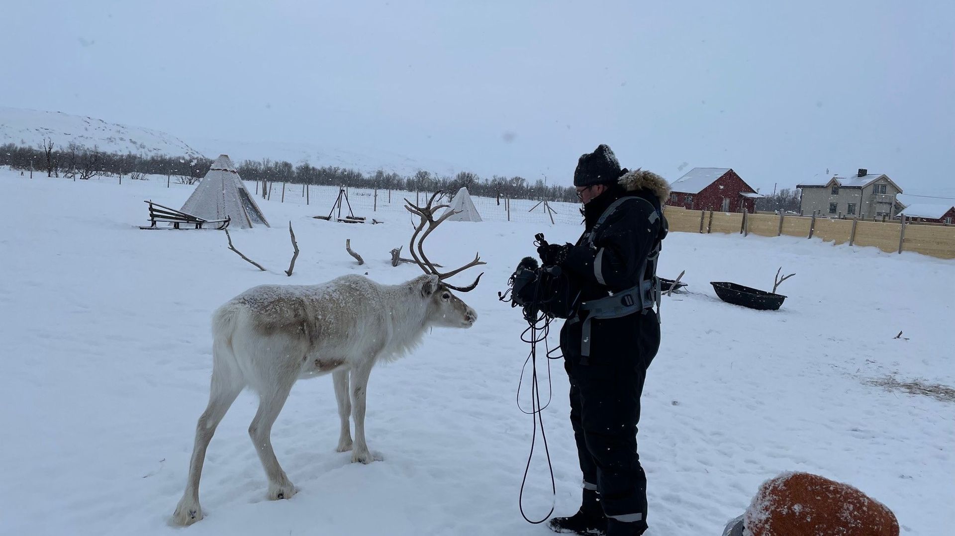Justin Ramelot, un Liégeois qui a dompté le Grand Nord ! - RTBF Actus