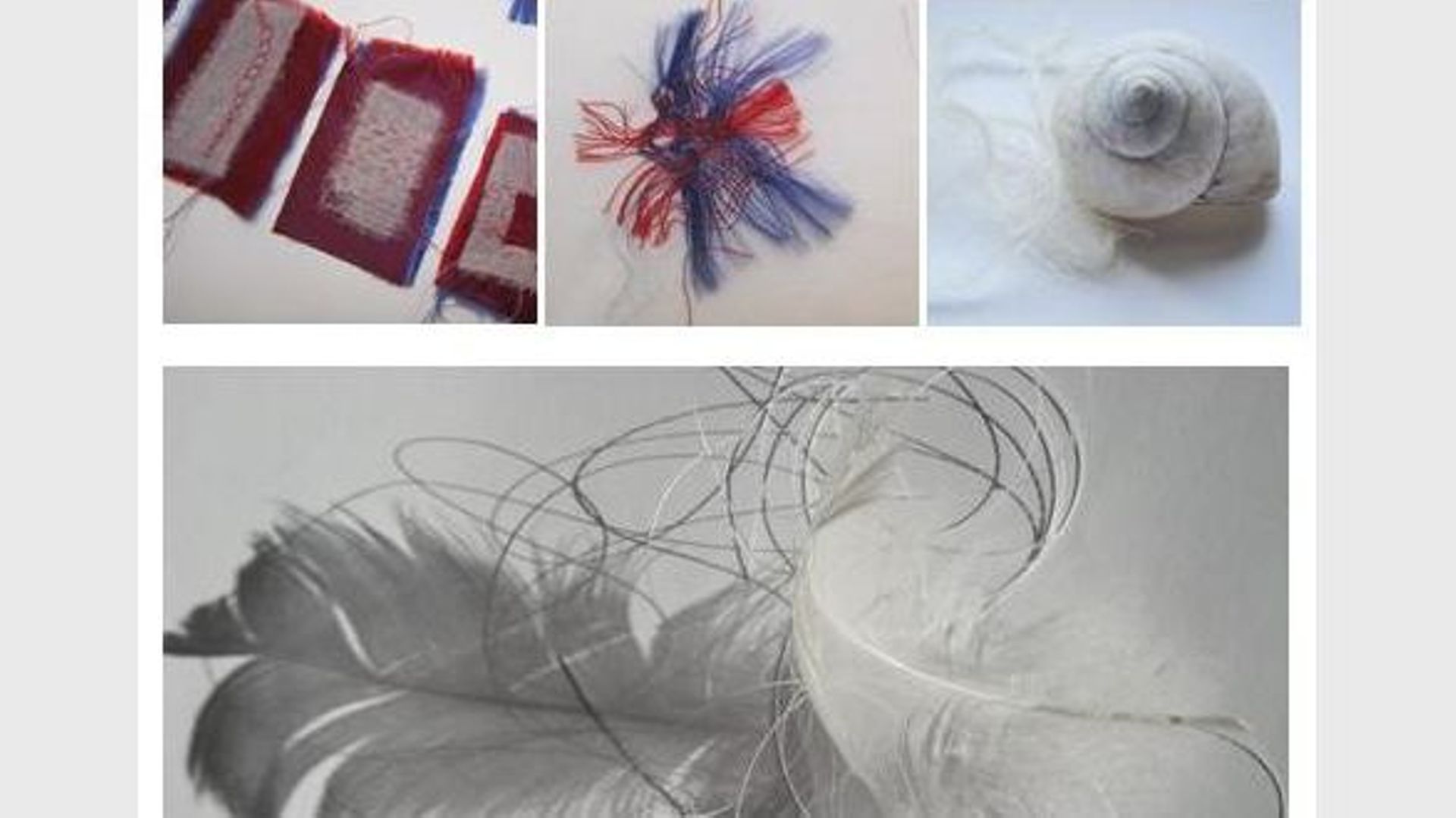 Magie blanche à l'espace Beau Site (Arlon) - RTBF Actus