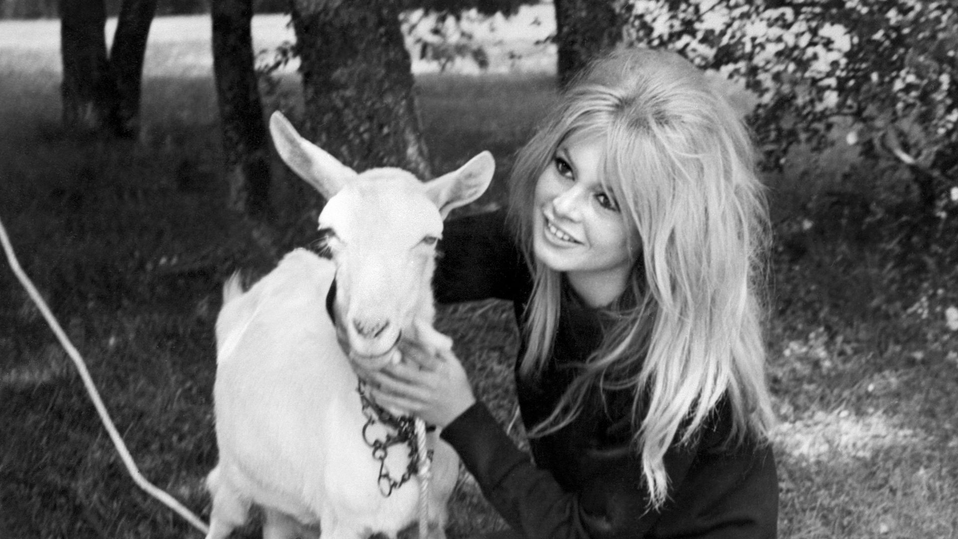 Une statue Brigitte Bardot à Saint-Tropez pour ses 83 ans - rtbf.be