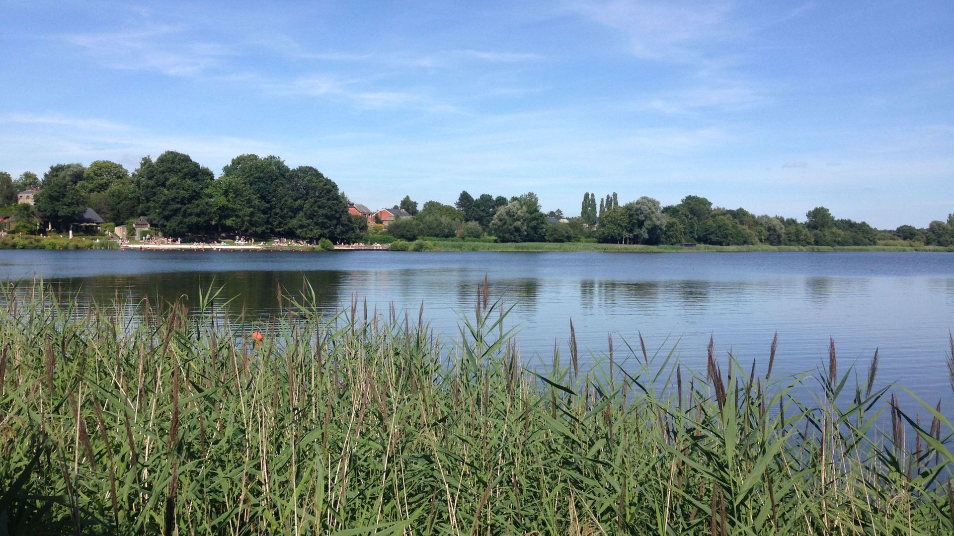Le Lac de Bambois : lieu de baignade et zone Natura 2000 - RTBF Actus