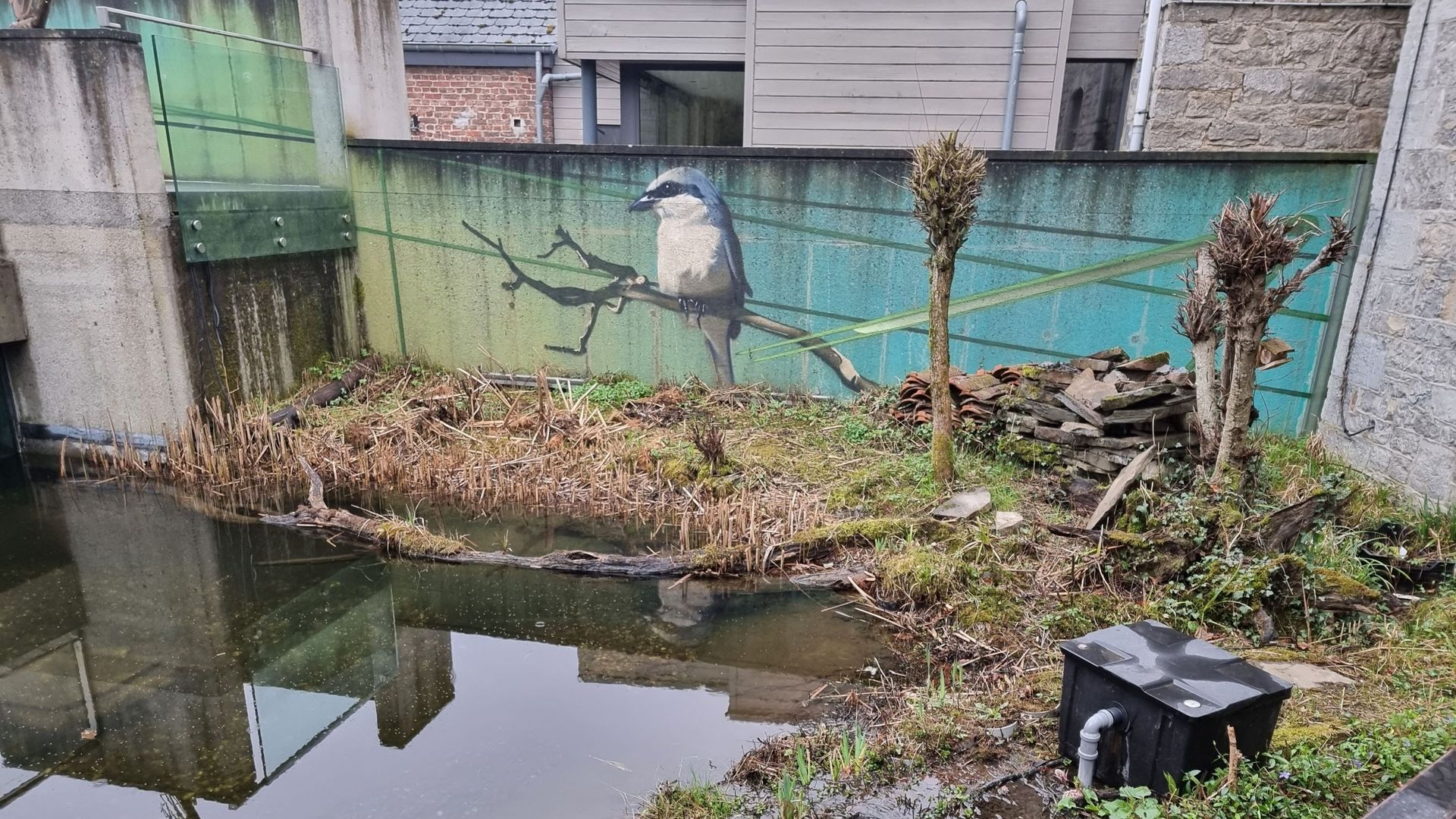 On a visité pour vous 'Rivéo', le centre d’interprétation de la rivière ...