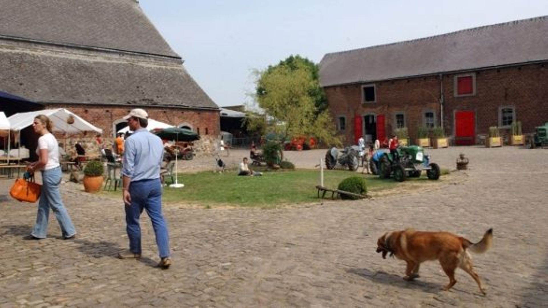 Deux journées à la ferme - RTBF Actus