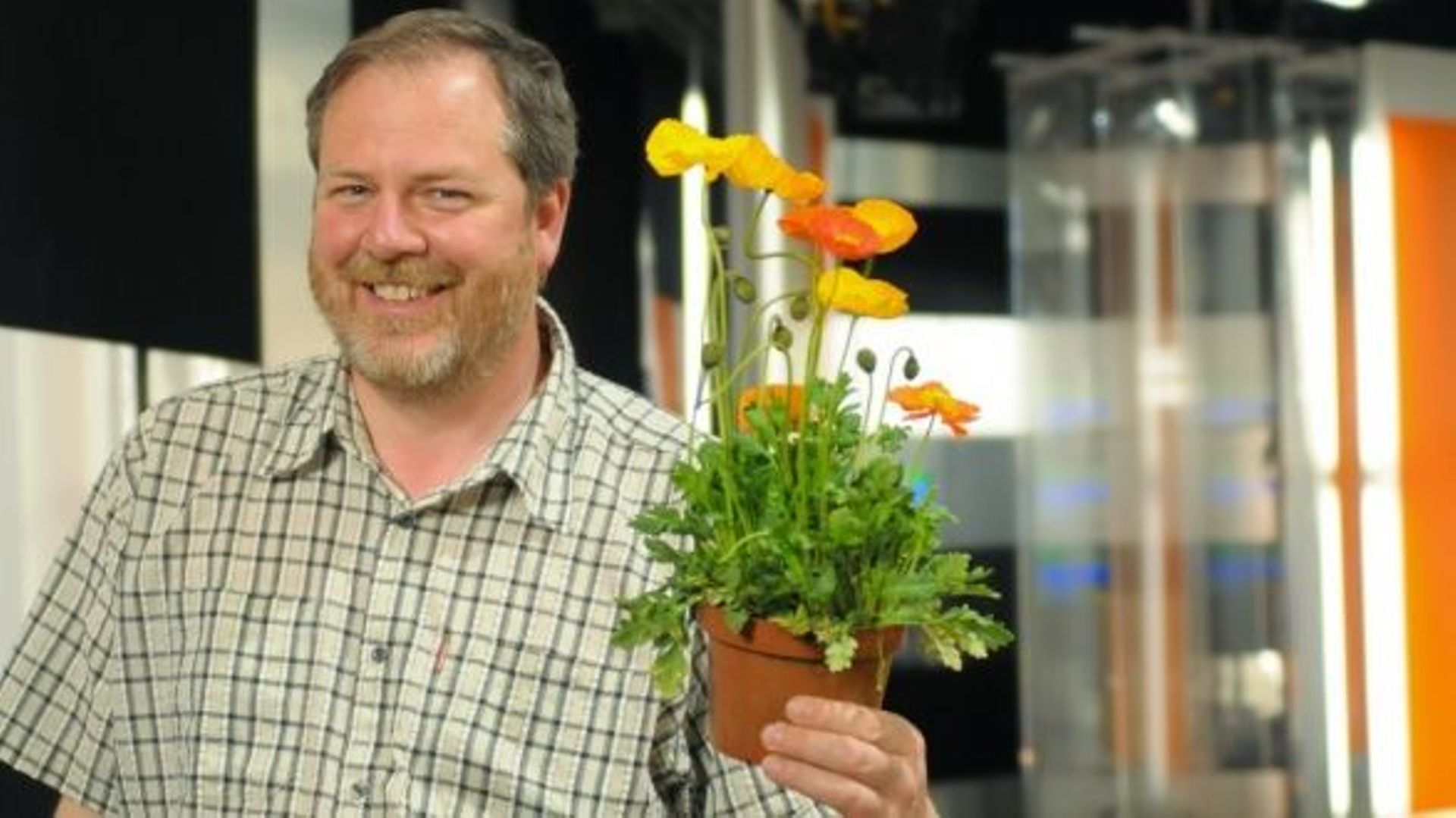 La chronique de Luc Noël: - RTBF Actus