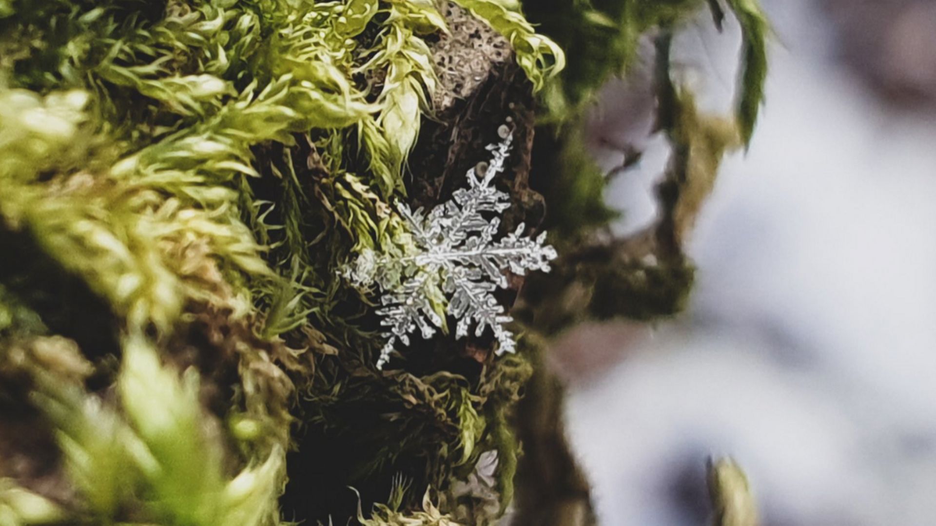 Voici les 8 plus belles photos météo 2023 récompensé par la Royal ...