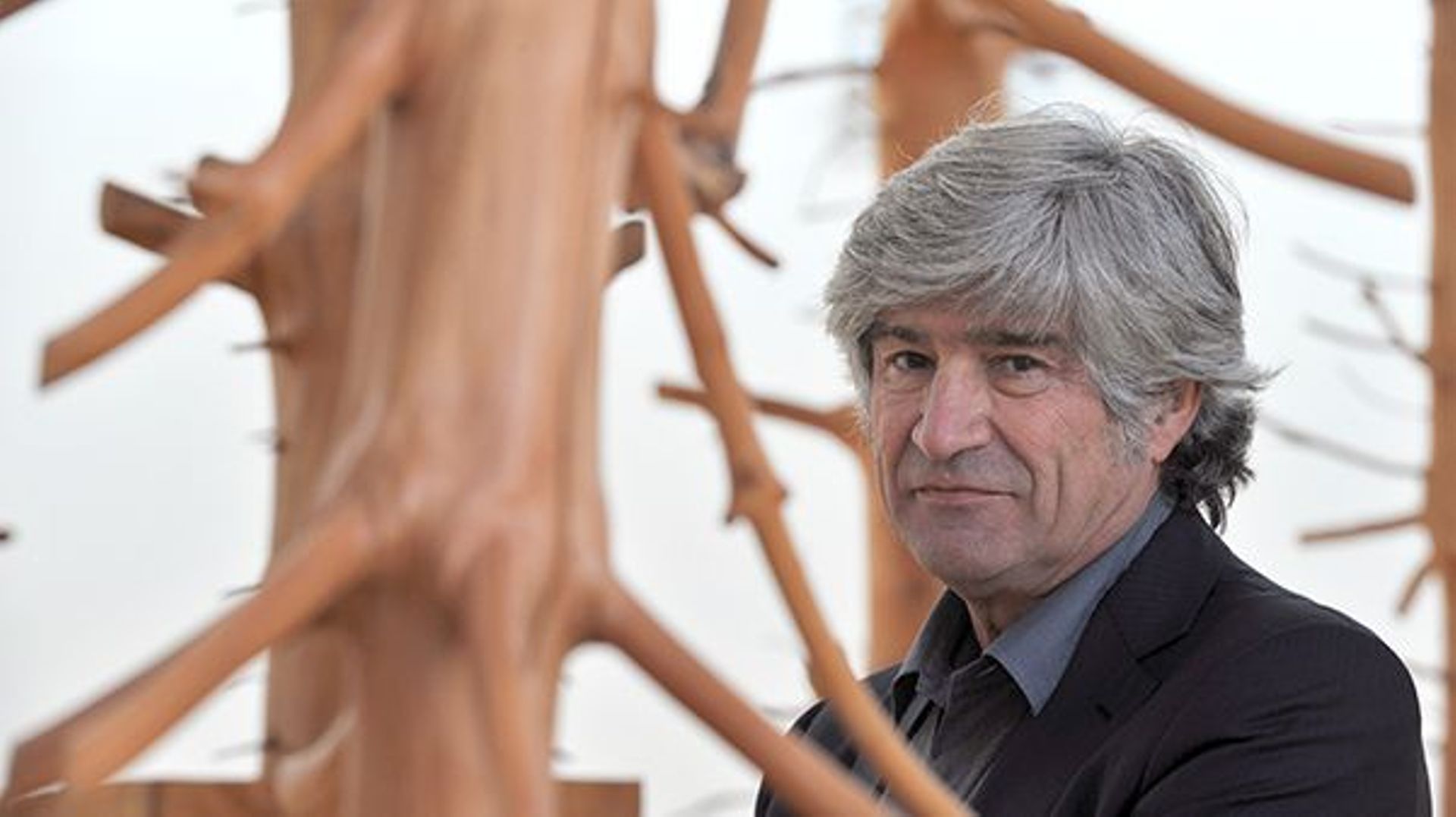 Giuseppe Penone, sculpteur de la nature et du temps, exposé à Rome ...