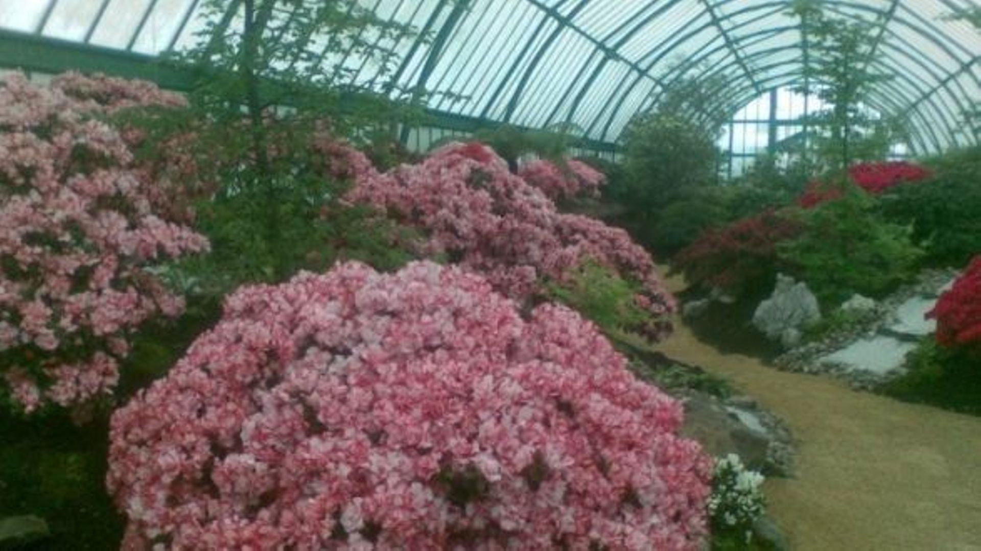 Voici la verdure et les fleurs... royales - RTBF Actus