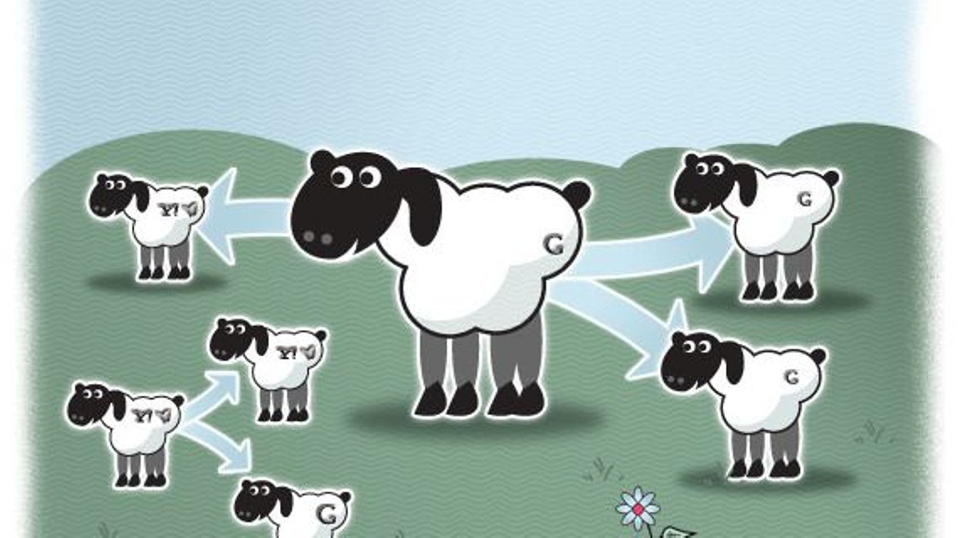 Doc Geo : Le clonage - RTBF Actus