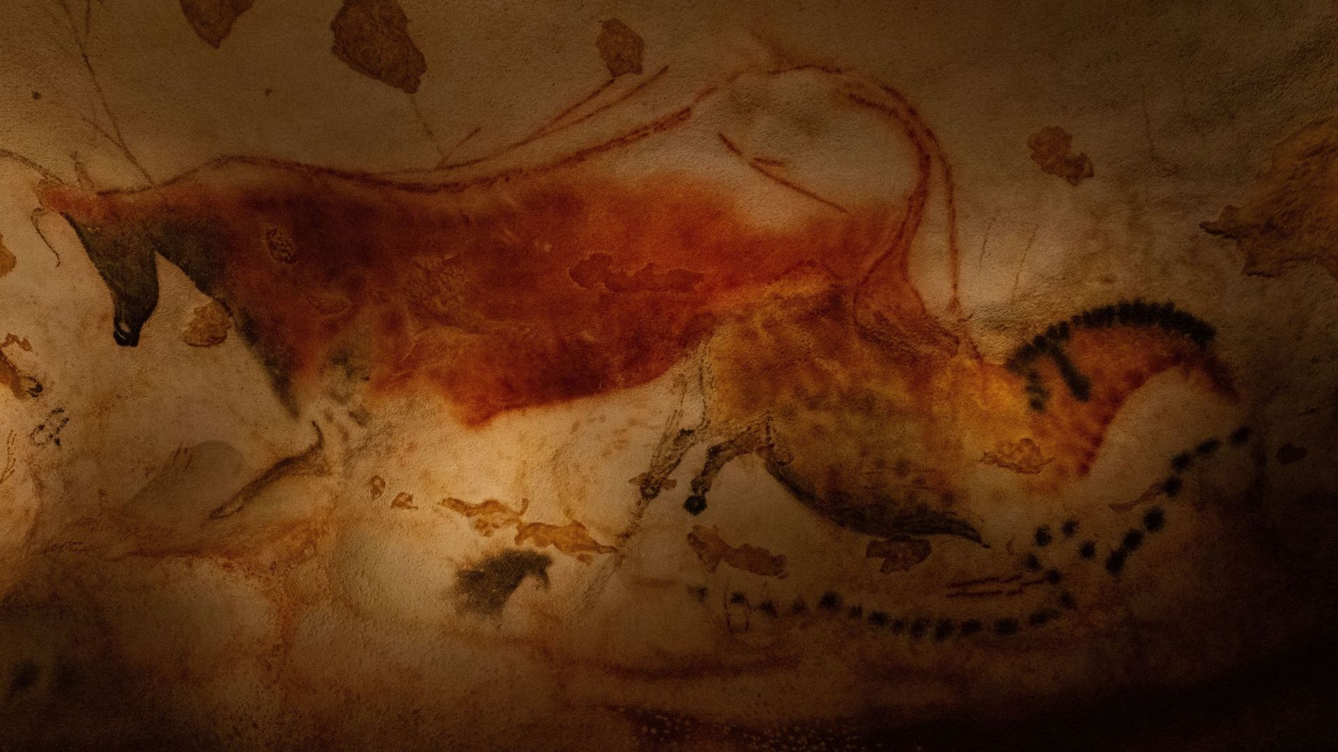 The Conversation - RTBF Actus