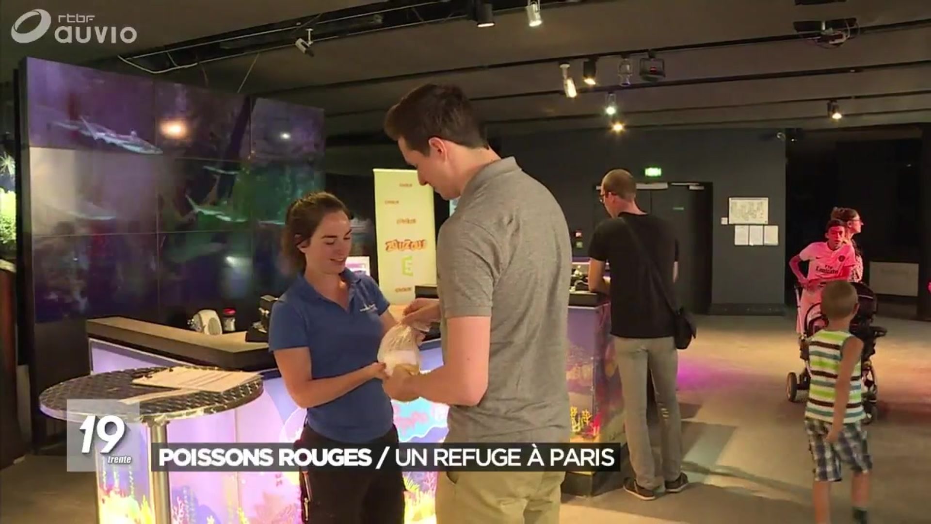 Pourquoi ne faut-il pas rejeter les poissons rouges dans la nature ...