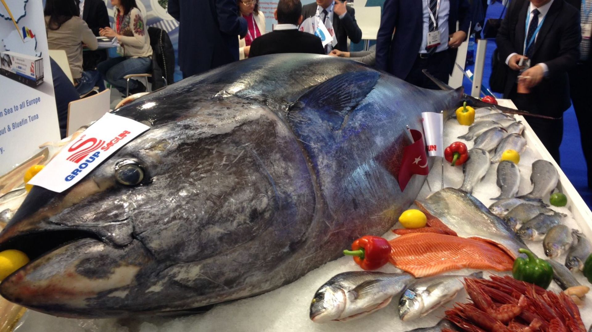On a visité Seafood, le plus grand salon des produits de la mer