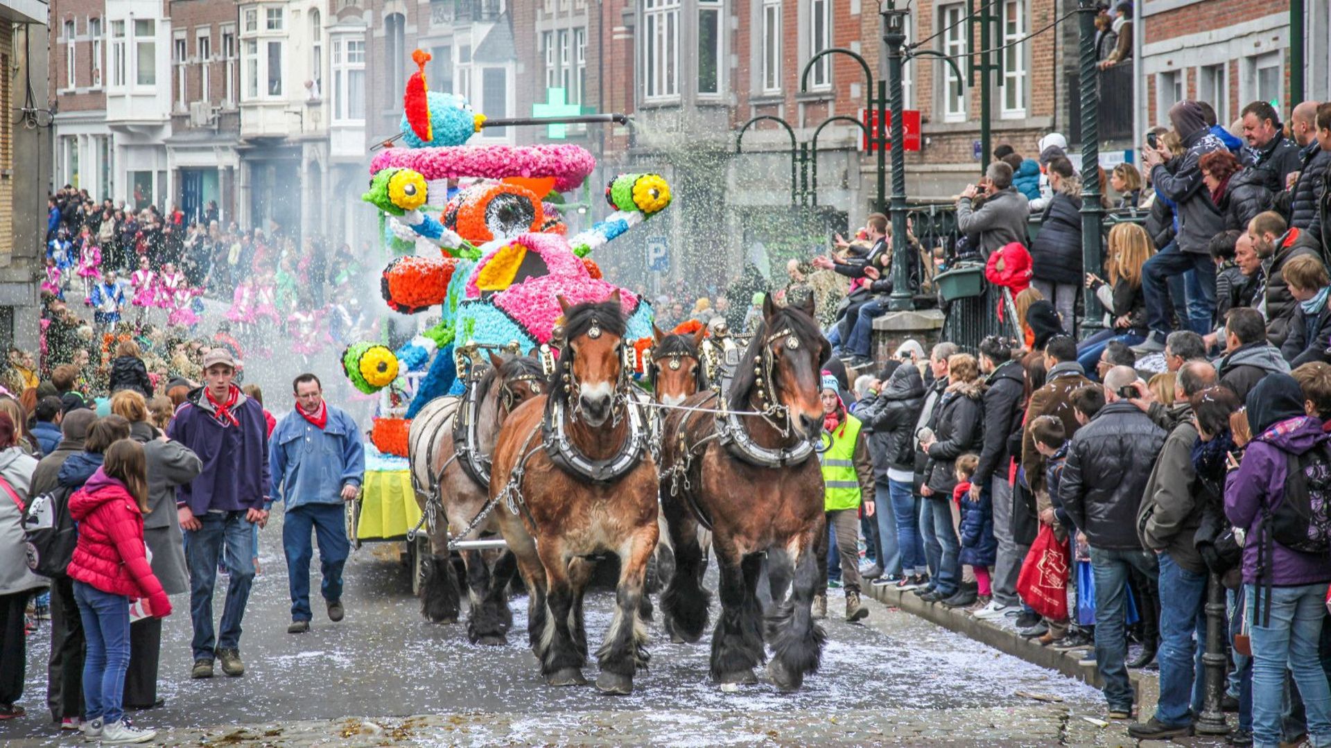 Les plus belles cavalcades de Belgique - RTBF Actus