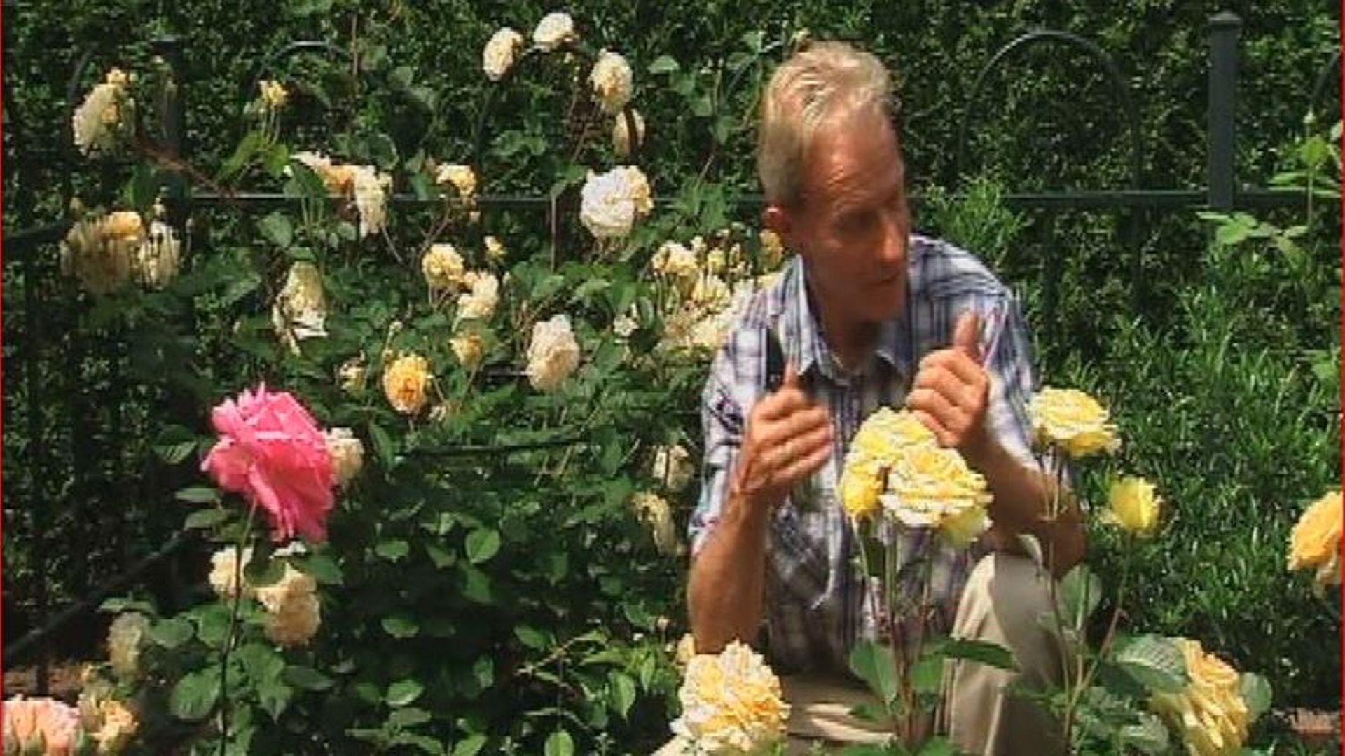 Jardin de Guy et Danielle à Hasselt – ' La petite ardennaise ' - RTBF Actus
