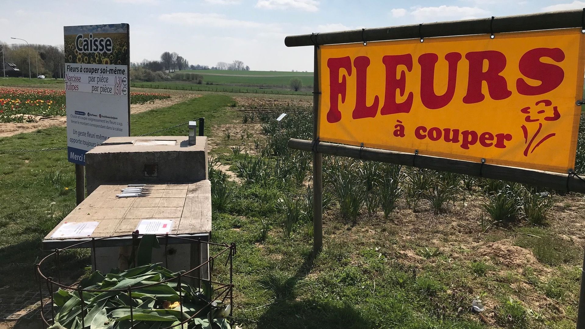 Fleurs à couper: un concept local, basé sur la confiance, qui séduit de ...