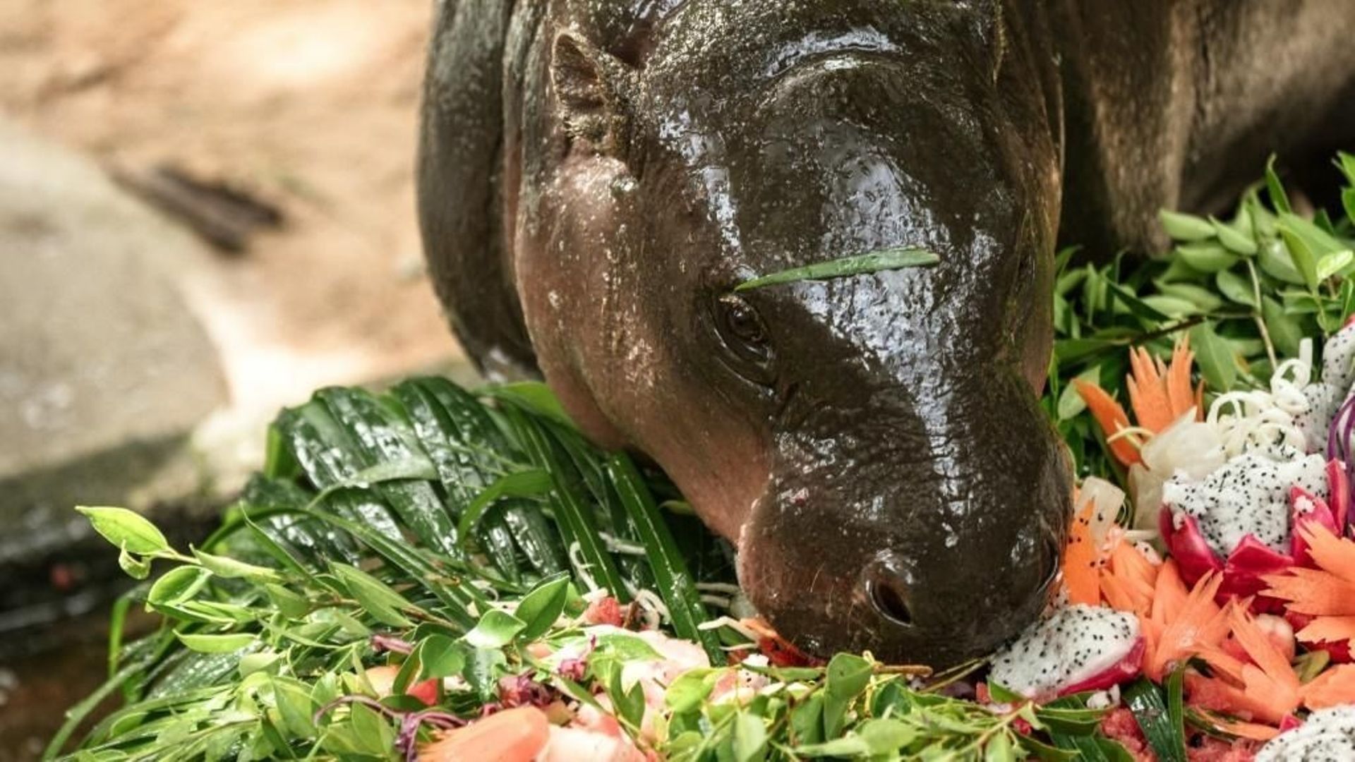 Shoting time xxx was greeted with a warm hug, and she had