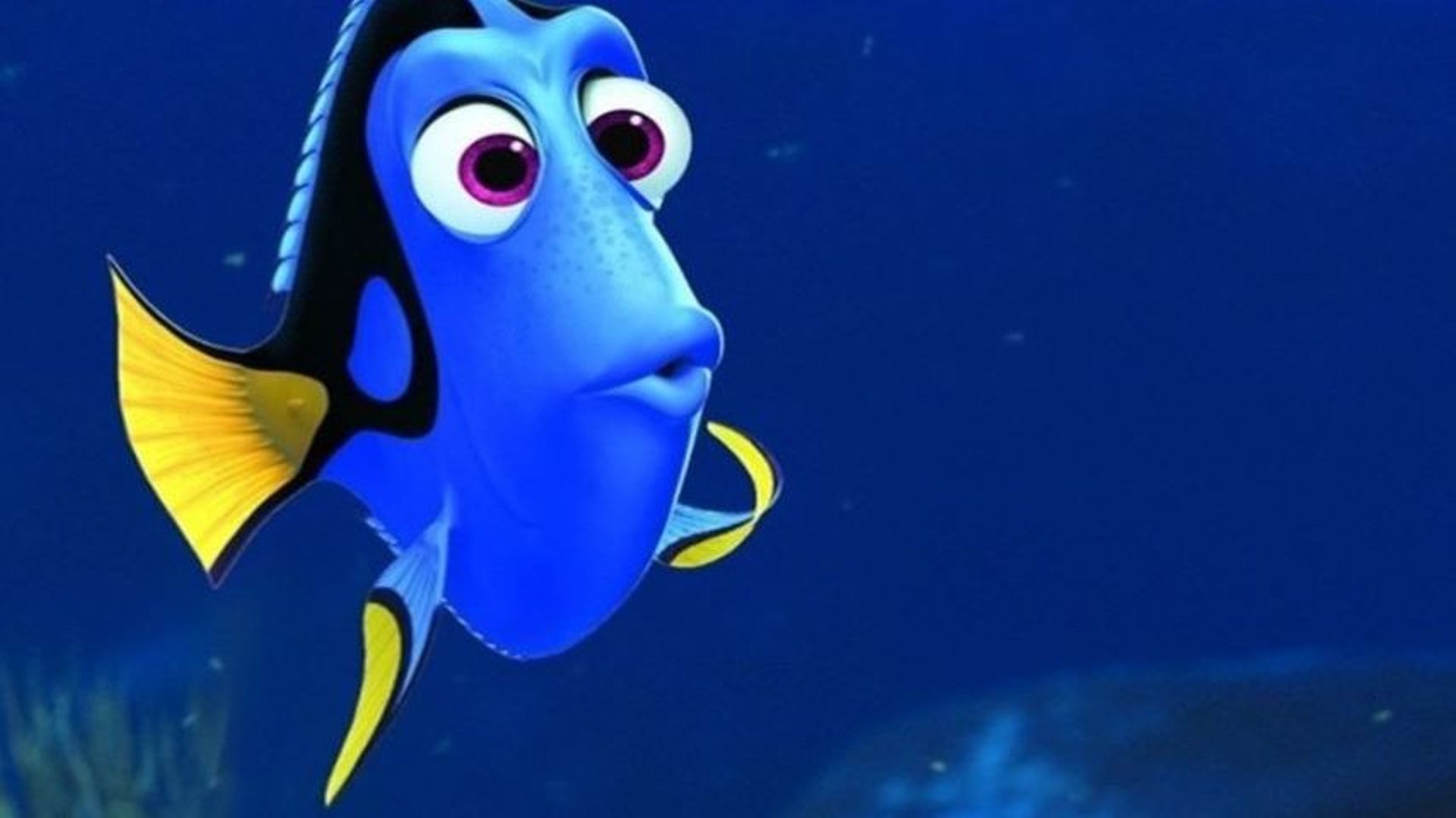 Dory, le célèbre poisson qui explique les troubles de la mémoire ...