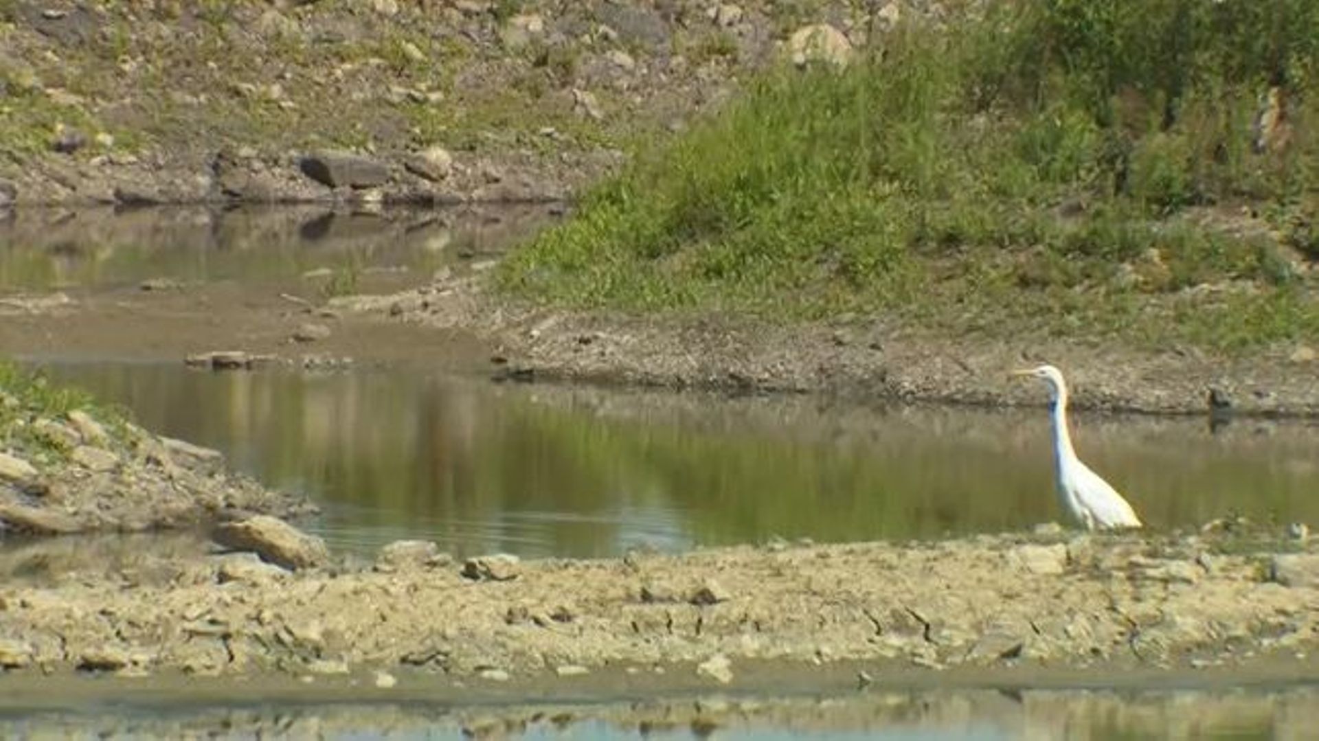 Lampiris, le fournisseur liégeois de gaz et d'électricité devient ...