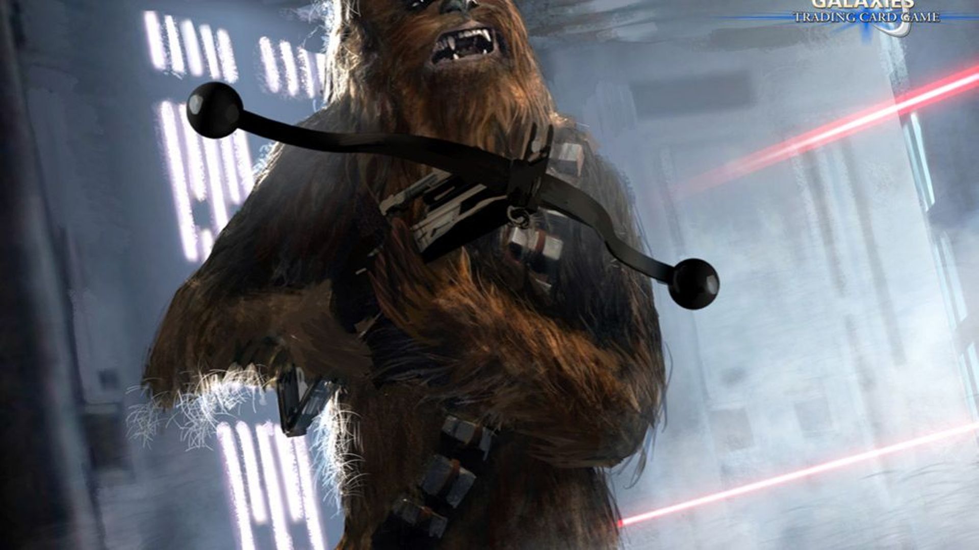 Son chien, c'est Chewbacca - RTBF Actus