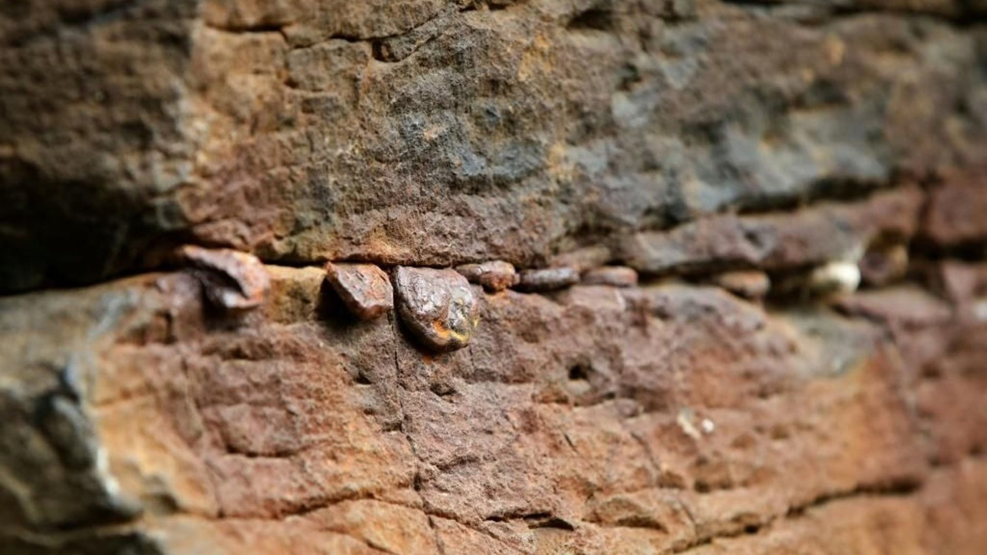 Video porno filtrado de yurley corona i found Stevi on