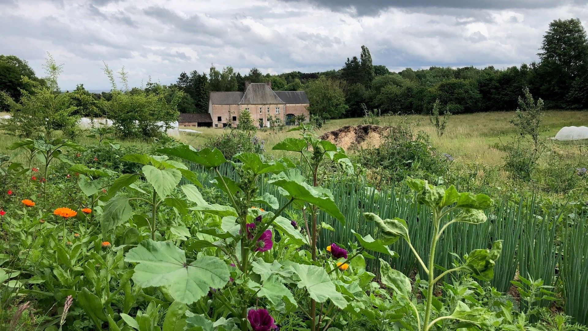 Le Carah à Ath: un centre de recherche et de formation agricoles dont l ...
