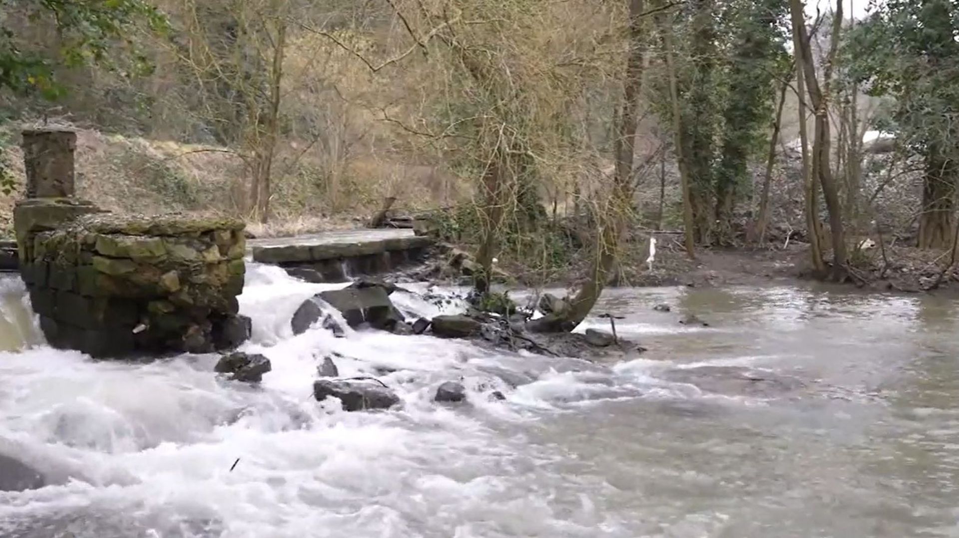 Jessica Riga nous partage son coup de foudre pour Lustin - RTBF Actus