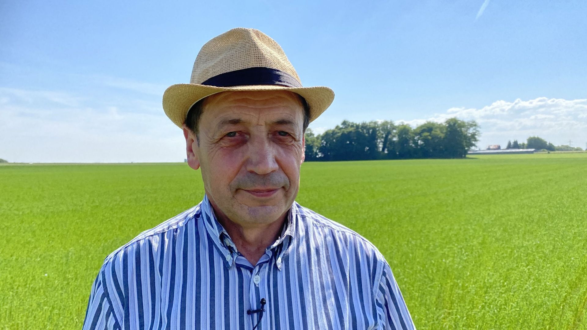 La récolte de lin n’est pas bonne - RTBF Actus