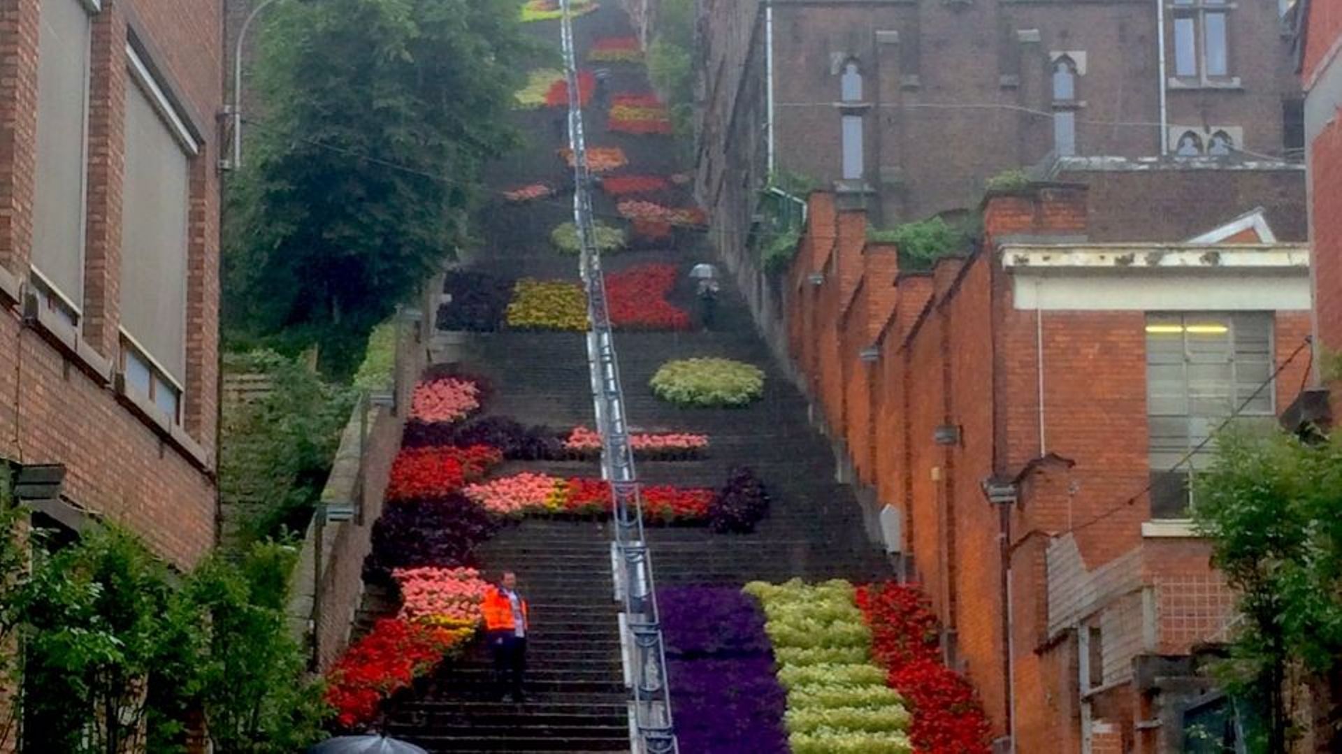 Liège: la montagne de Bueren en fleurs 'Diaboliques' - RTBF Actus