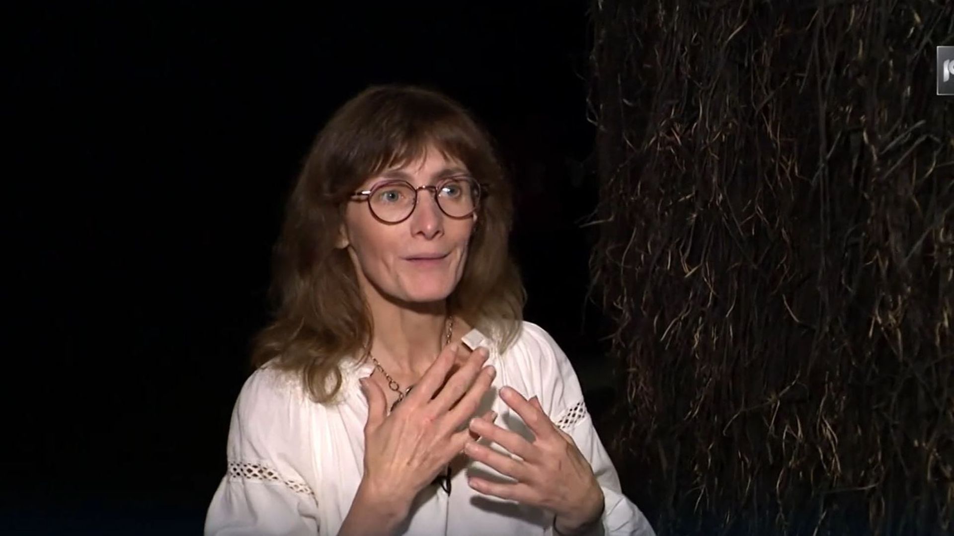 Le Jardin Extraordinaire : suivez les aventures de Joe, un jeune singe ...