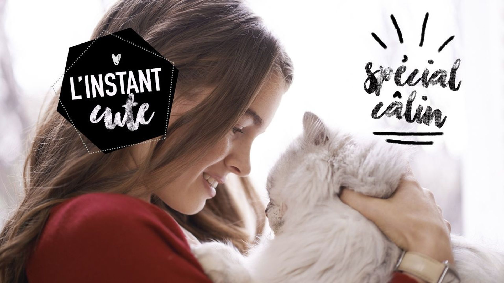 L'instant cute : des chats câlins - RTBF Actus