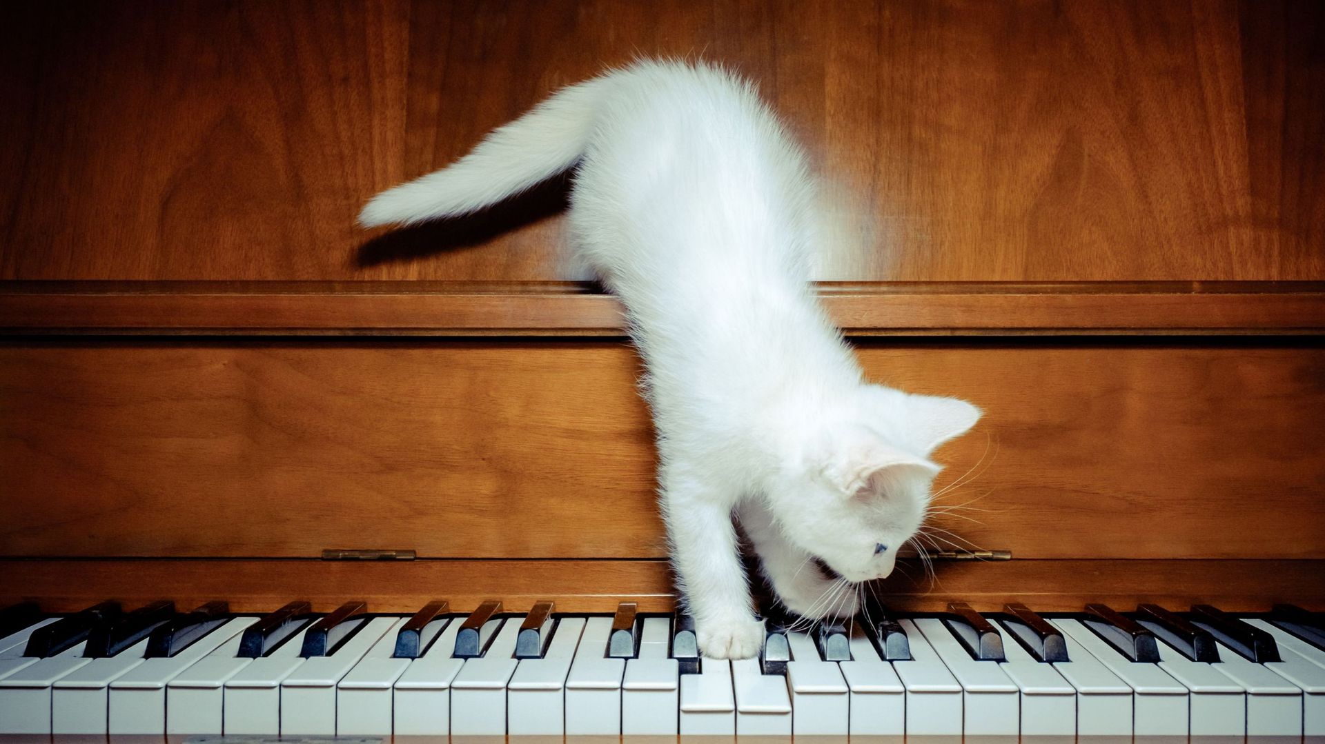 La Castafiore, héroïne de l’opéra, qui amène la musique classique au ...