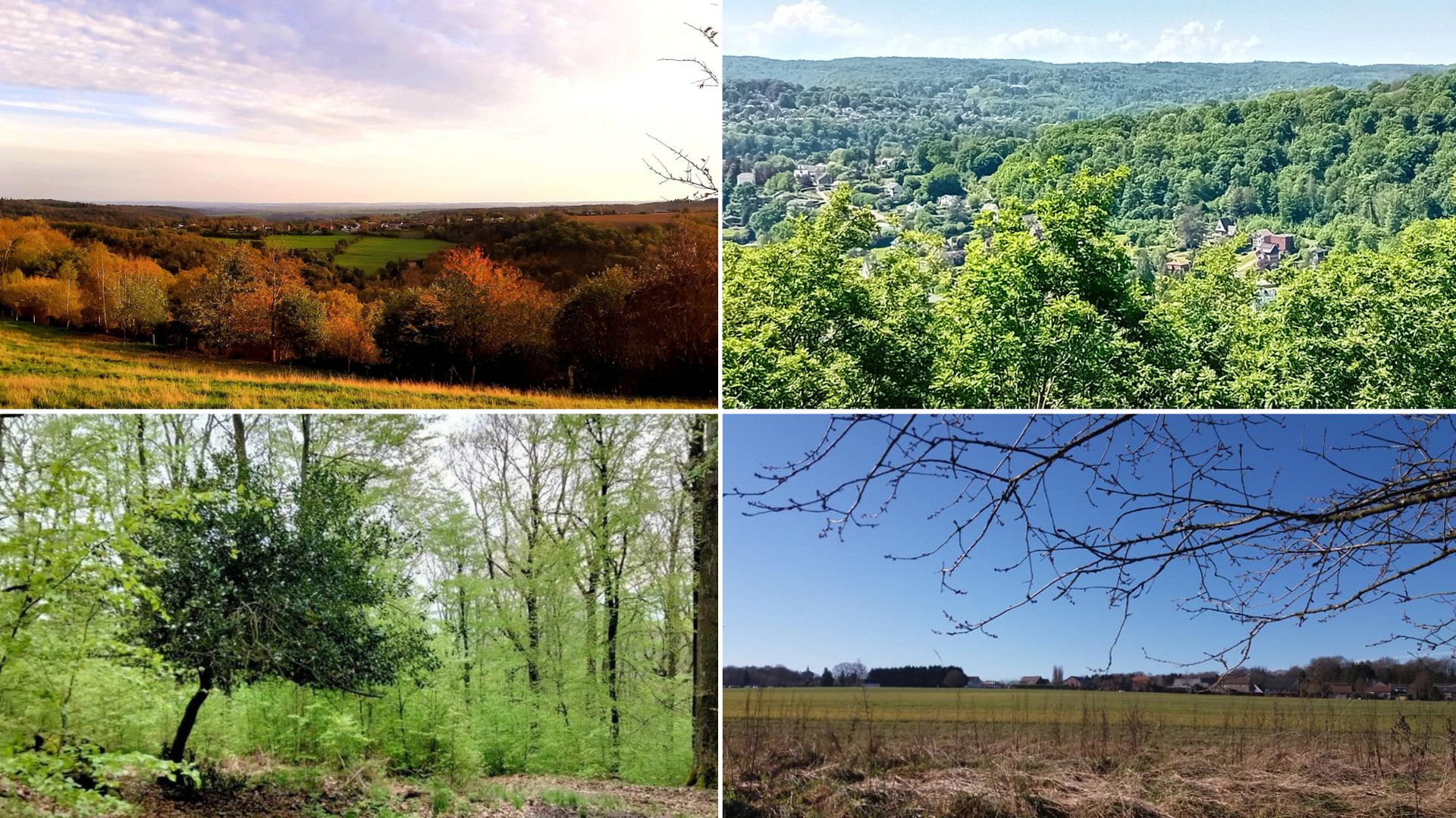 Partez en Road-Trip grâce au Réveil de Tipik - RTBF Actus