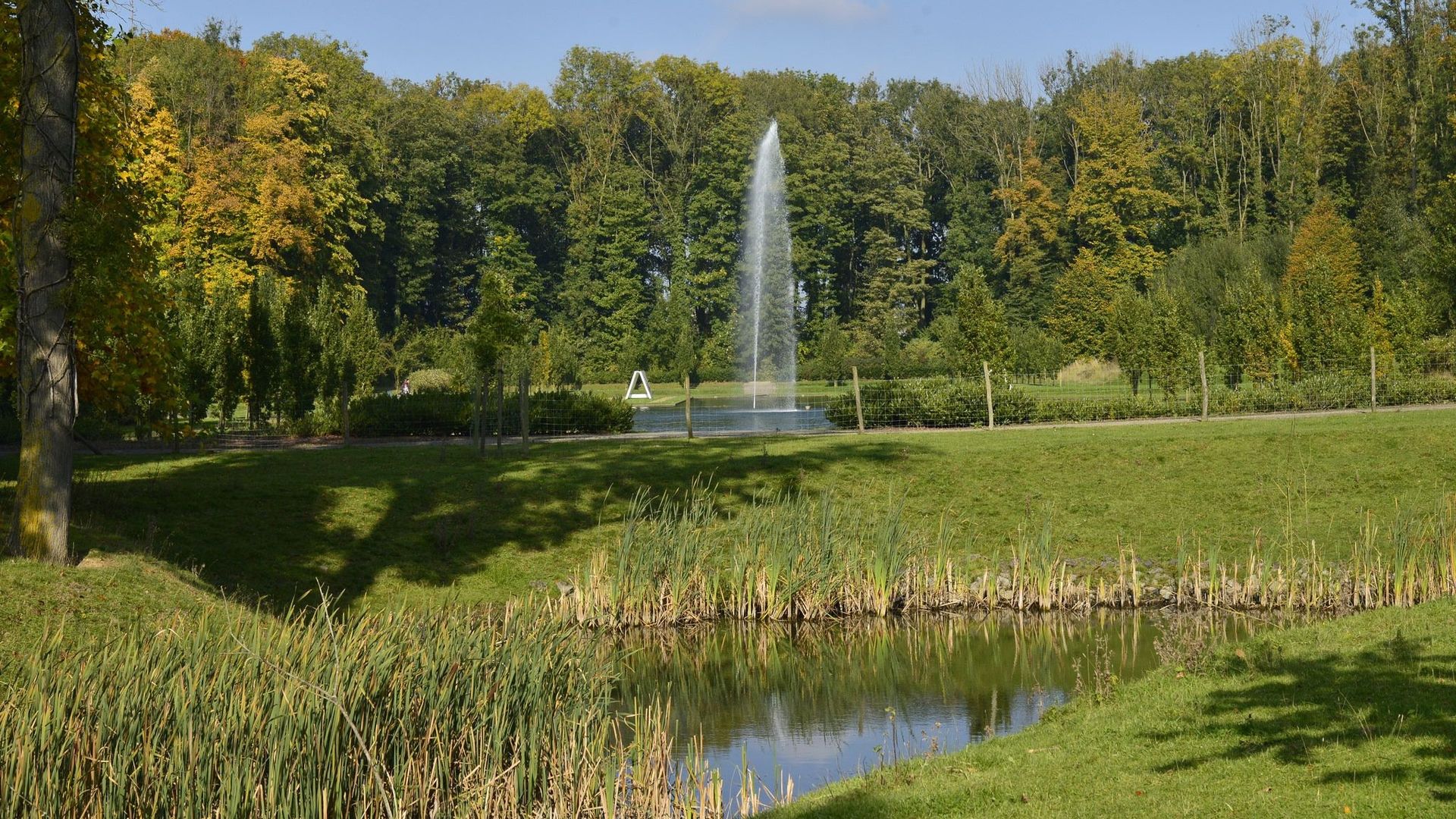 Quelques conseils pour aménager un point d'eau dans votre jardin - RTBF ...