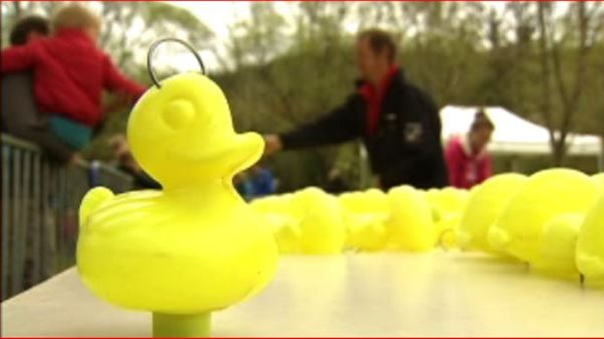 Week-end insolite: des canards de course et des chiens sur leur trente ...