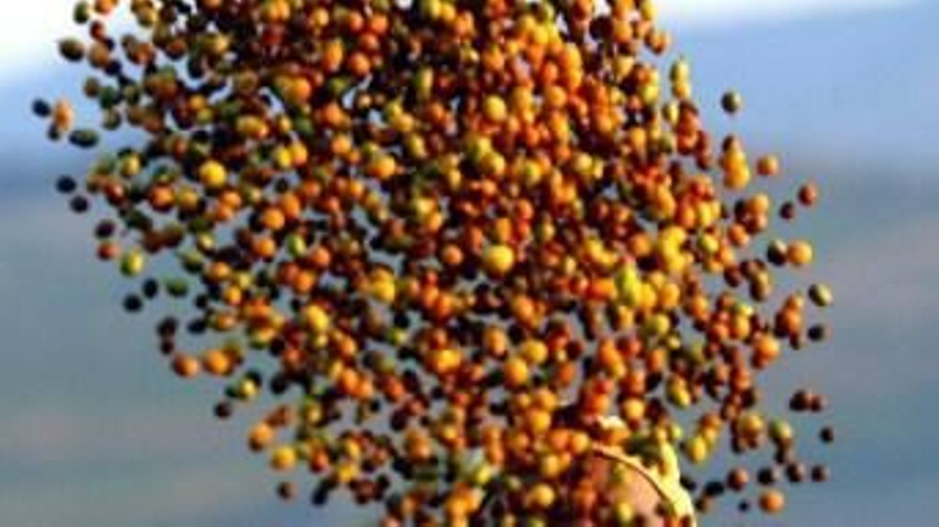 Le succès des capsules de café : leur qualité est-elle à la hauteur de ...