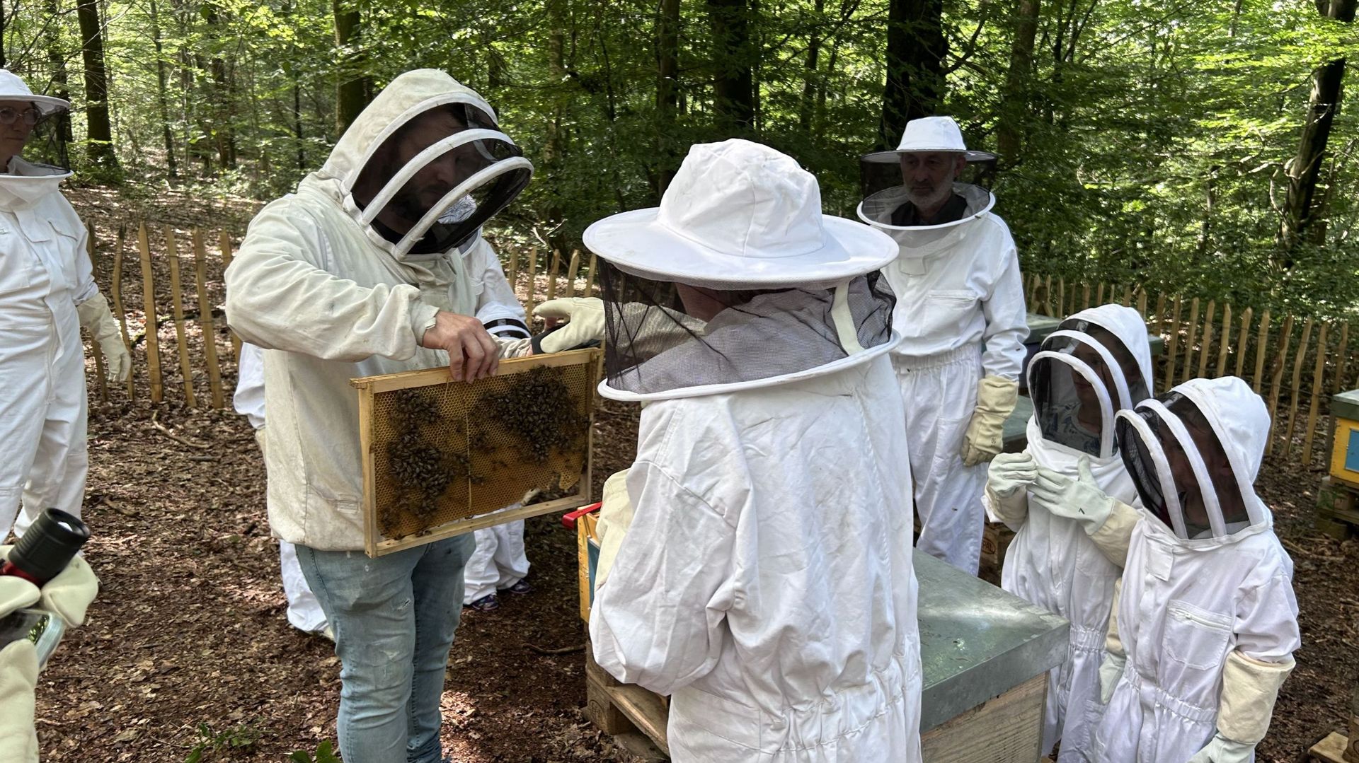 Au barrage de La Gileppe, Beexperience propose une immersion dans le monde des abeilles - RTBF Actus