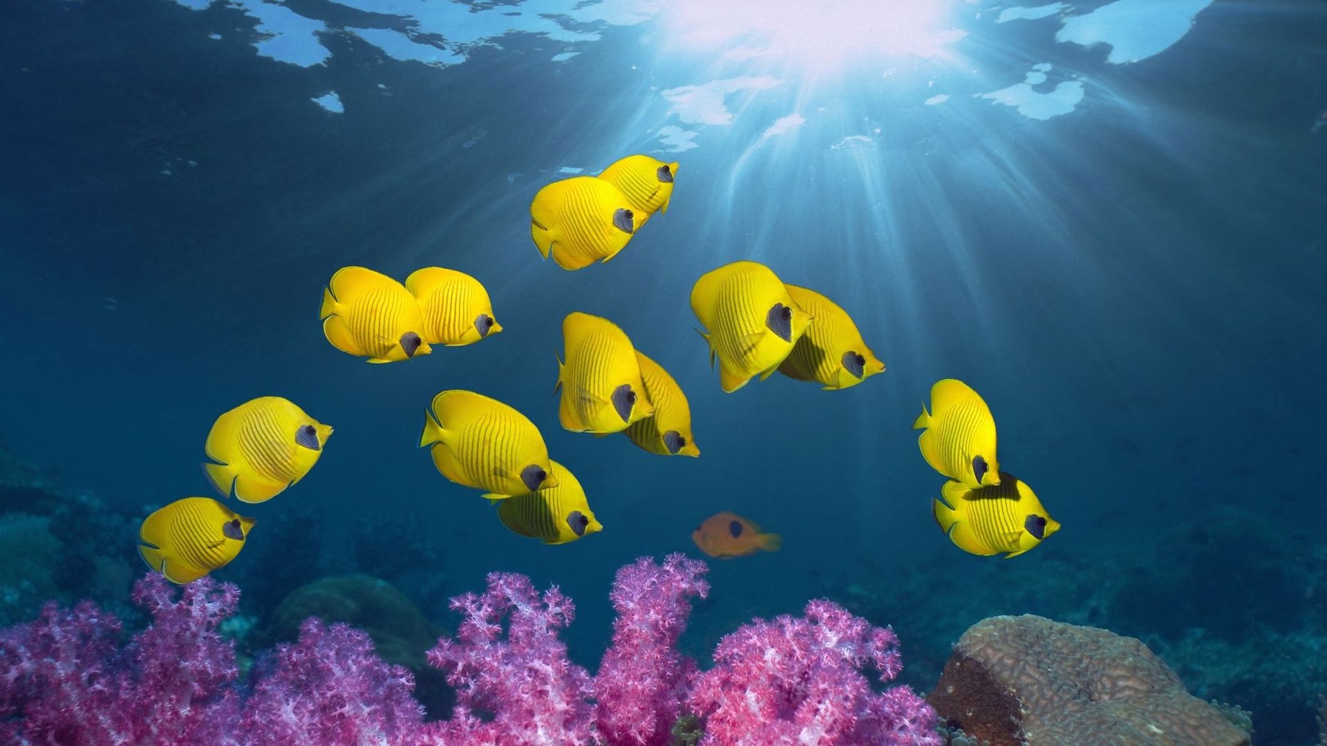 Dakar 2025 : Sanders 'colle' 20 minutes à ses rivaux et fait la bonne ...