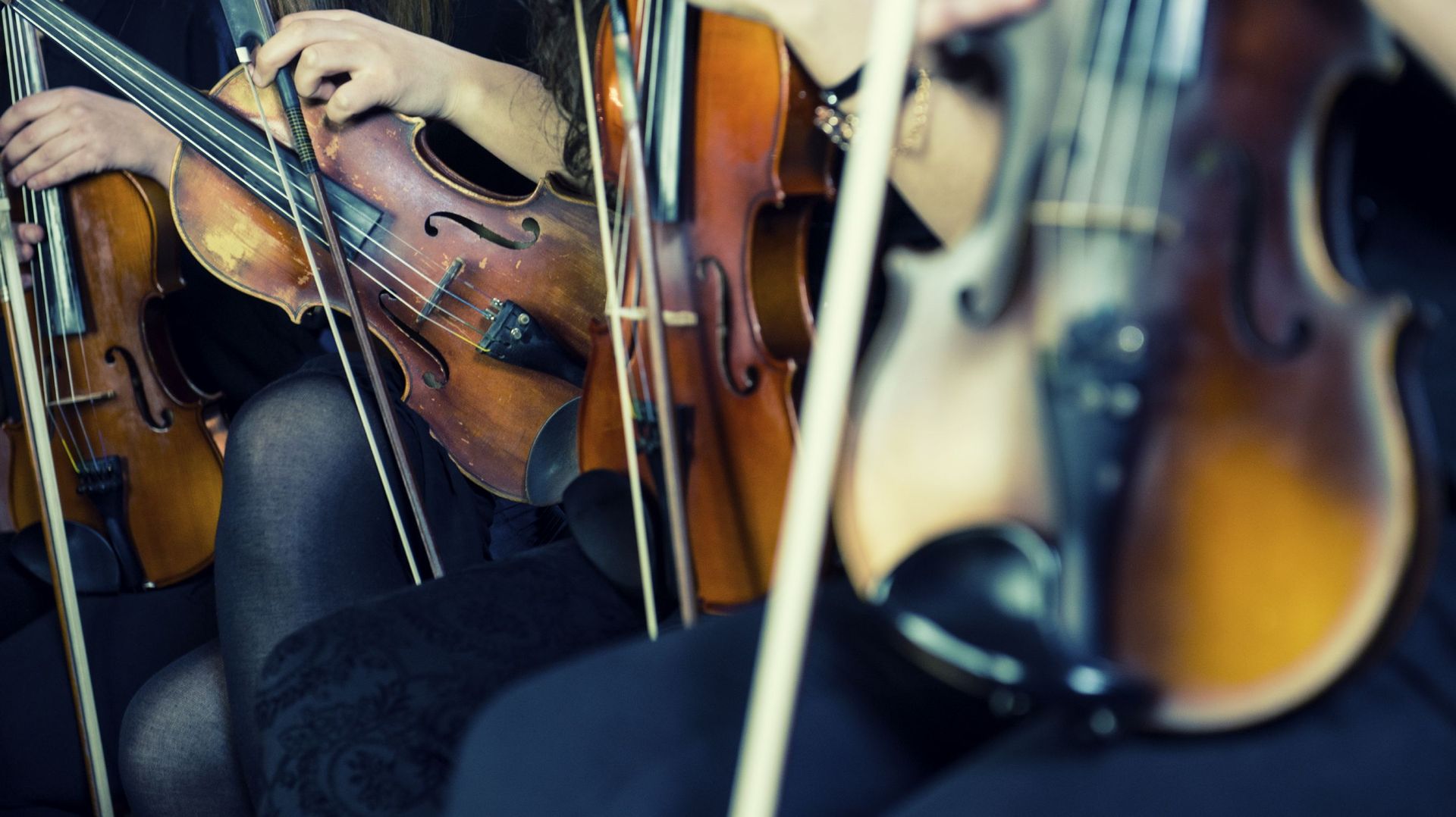 #47 string stories - RTBF Actus