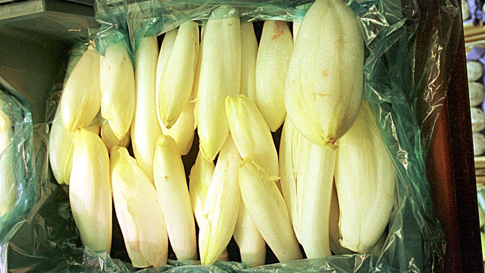 Le chicon, spécialité de Saint-Symphorien - RTBF Actus