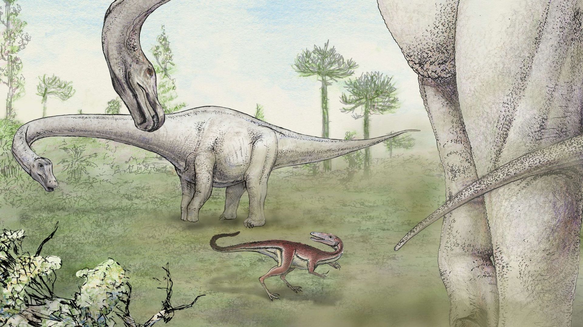 Une nouvelle espèce de dinosaure géant découverte en Tanzanie - RTBF Actus