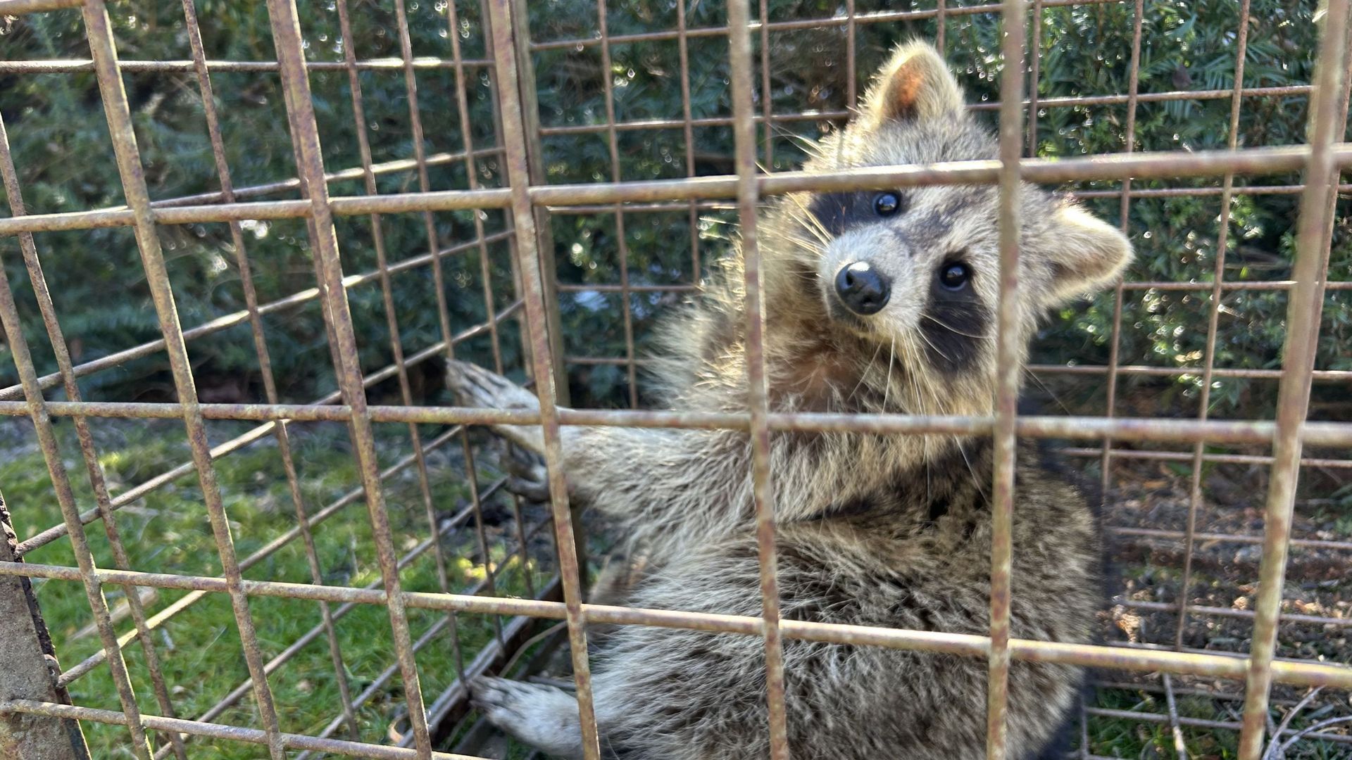 Vesna pocuca sana pics the provider represents absolute joy