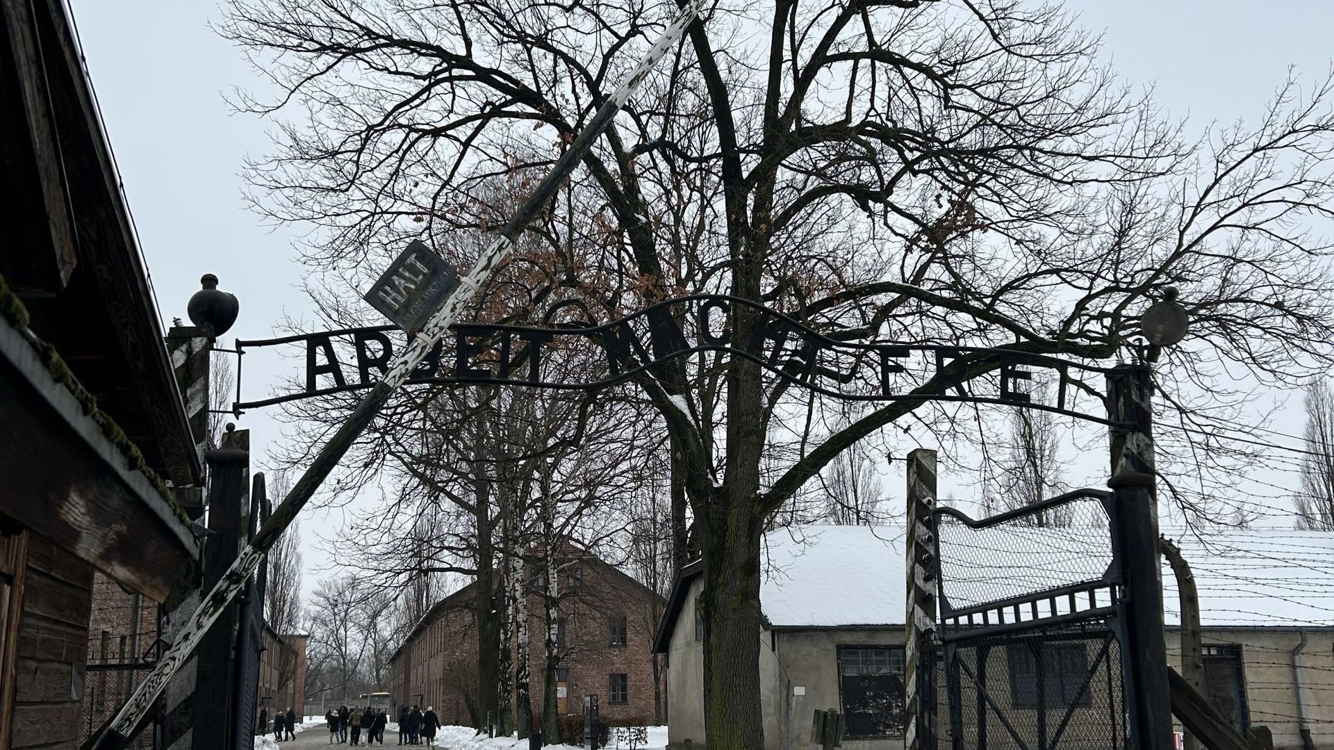 80 ans de la libération d'Auschwitz : des survivants dénoncent l ...