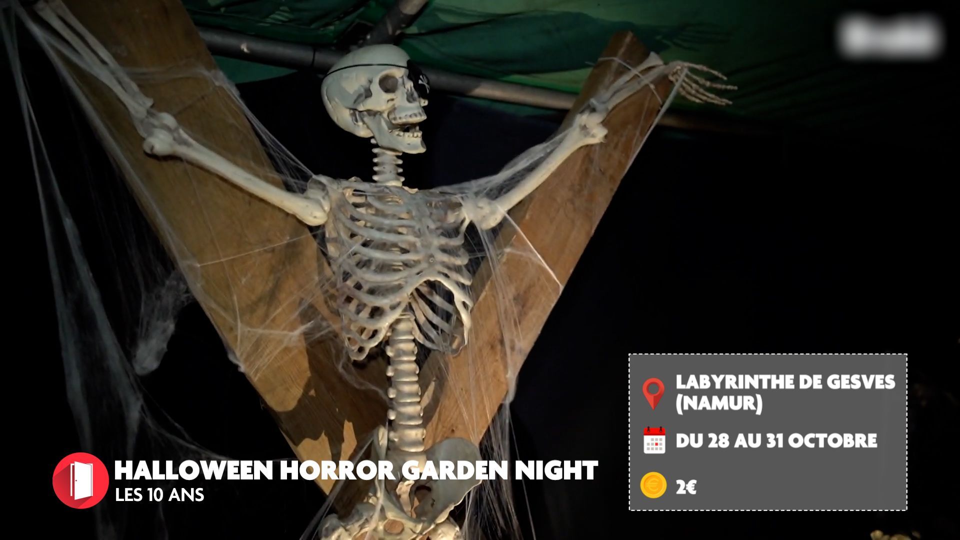 Horror Garden night de Gesves fête ses 10 ans - rtbf.be