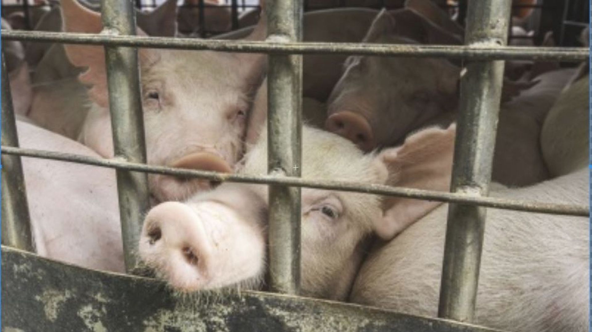 QR : Qu’est-ce que le seuil de pauvreté et comment est-il calculé ...