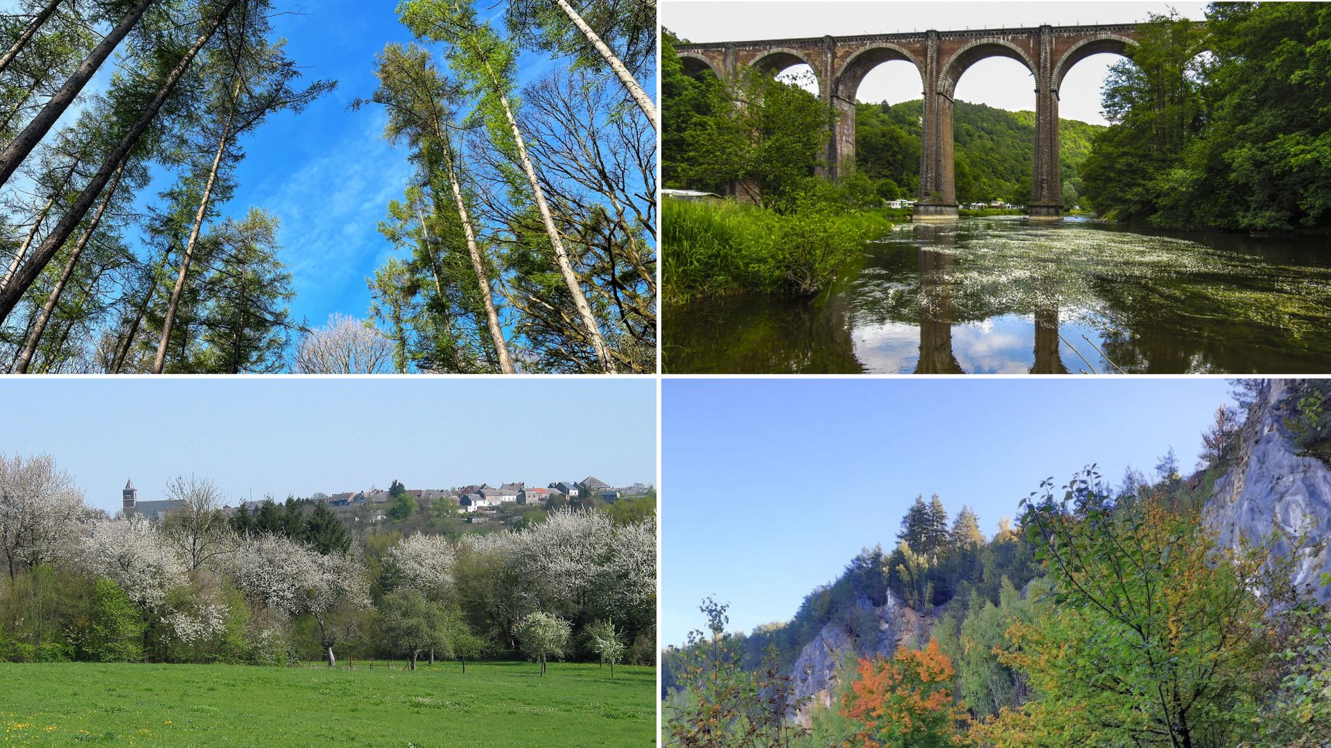 Les 17 marches Adeps du dimanche 20 avril en Wallonie - RTBF Actus