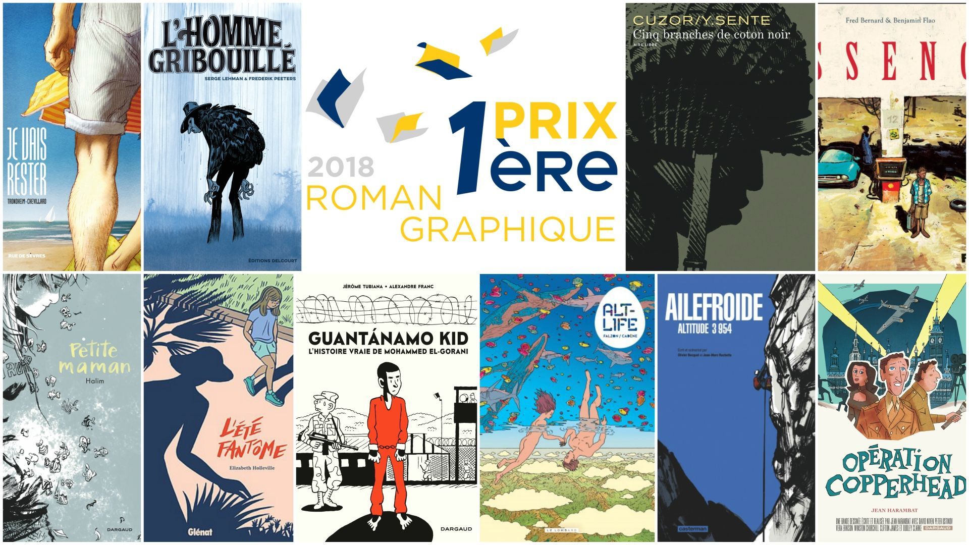 Prix Première du roman graphique 2018: les 10 romans nommés - RTBF Actus
