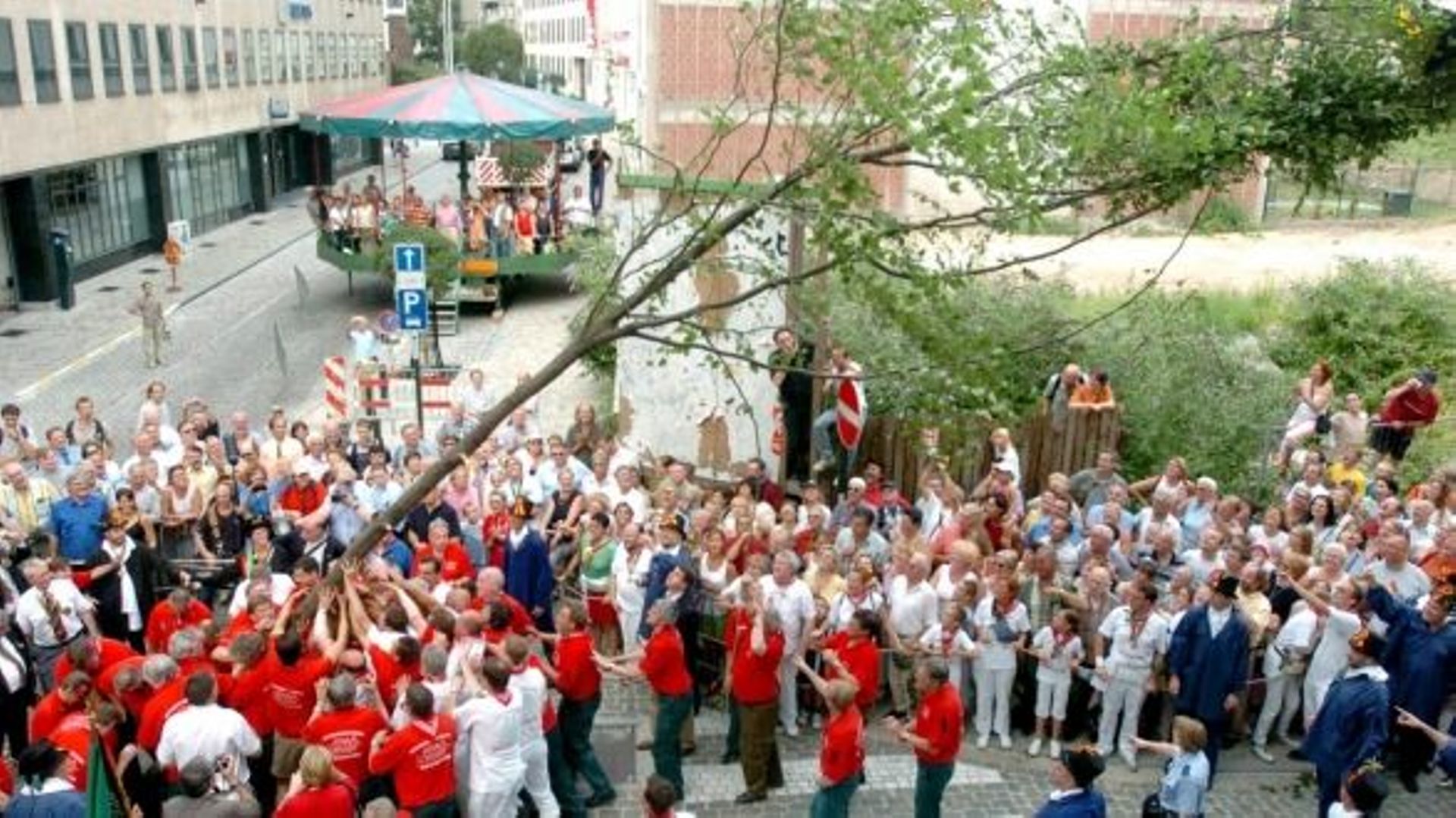 Le Meyboom a bien été planté à Bruxelles et à Louvain - RTBF Actus
