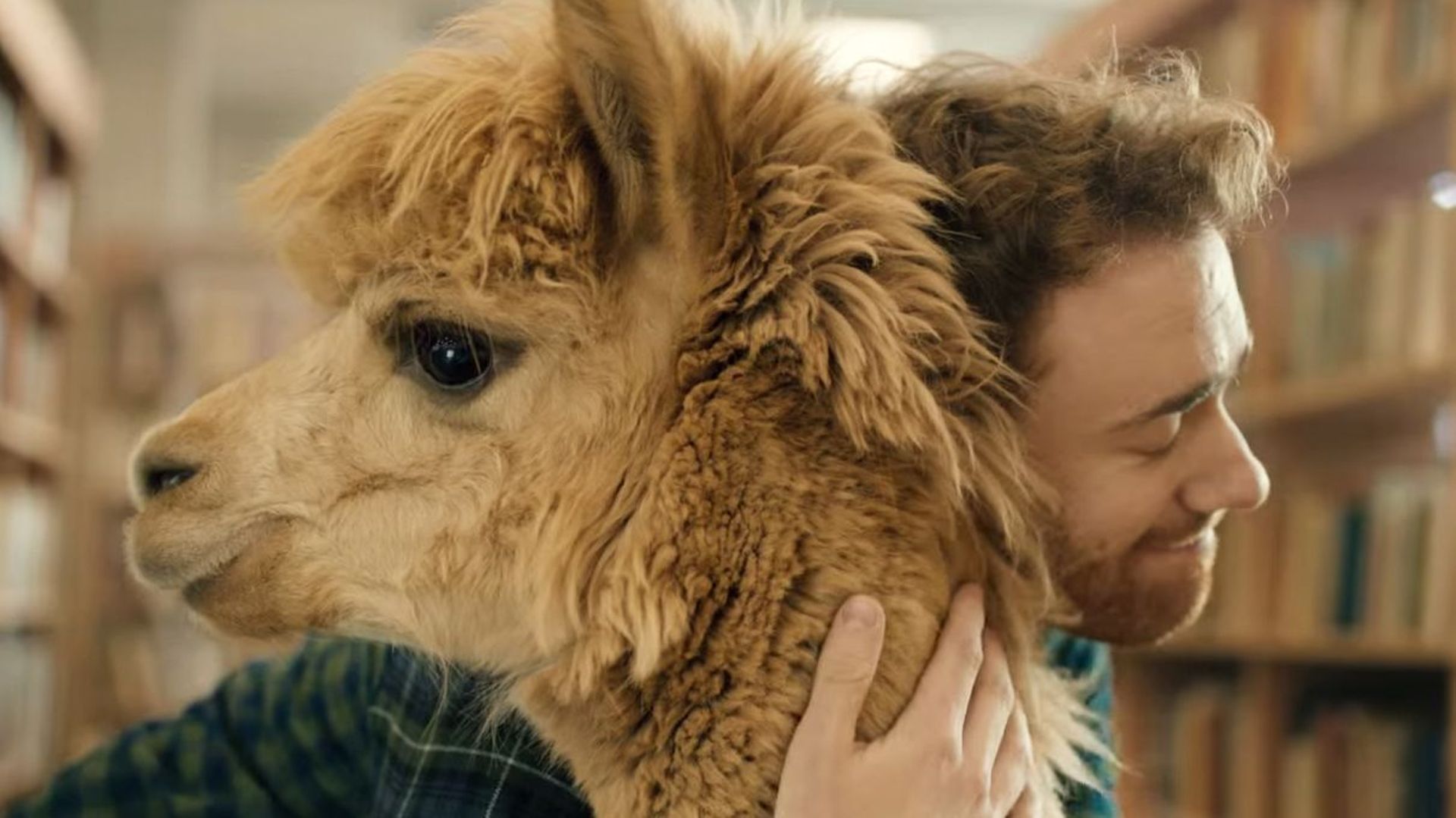 Cette surprenante image est tirée d'une pub anglaise qui vante le ...