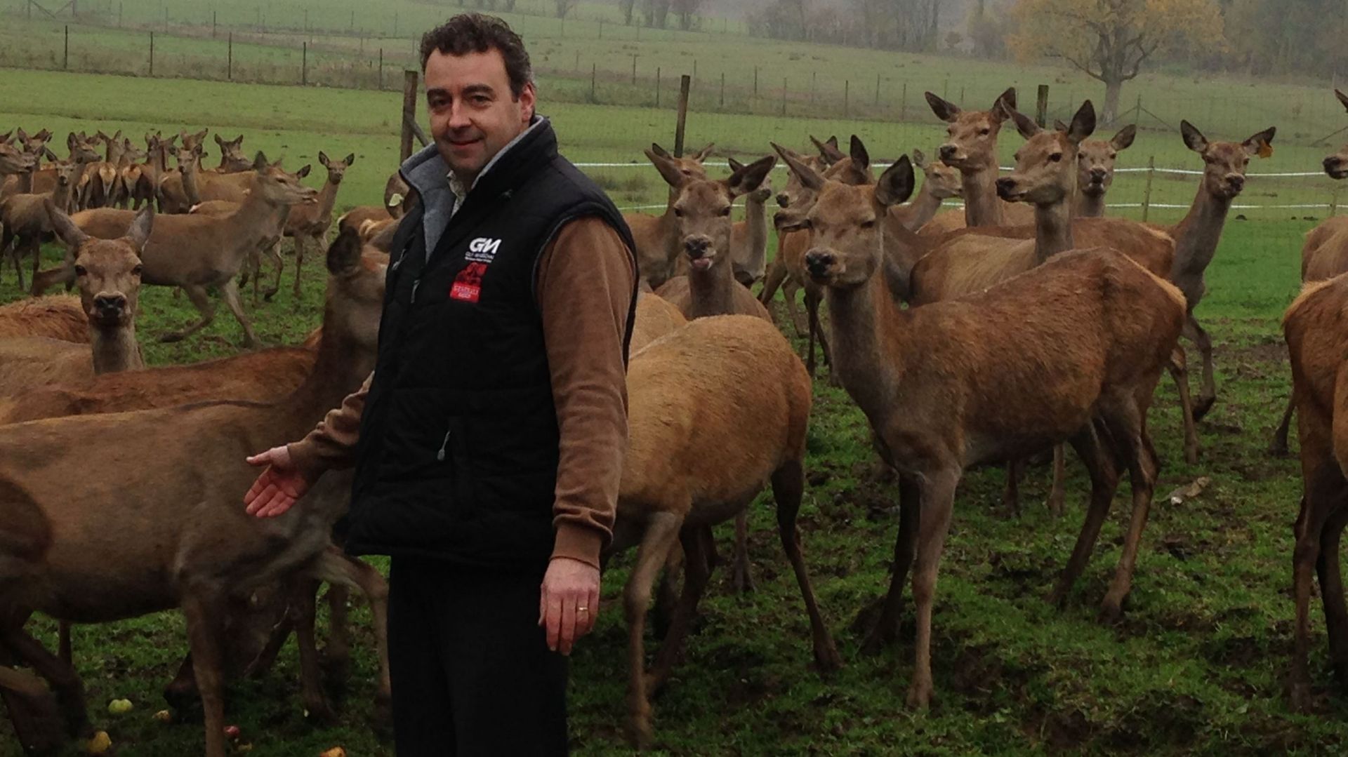 Le gibier d'élevage, une viande plus tendre que celle issue de la ...