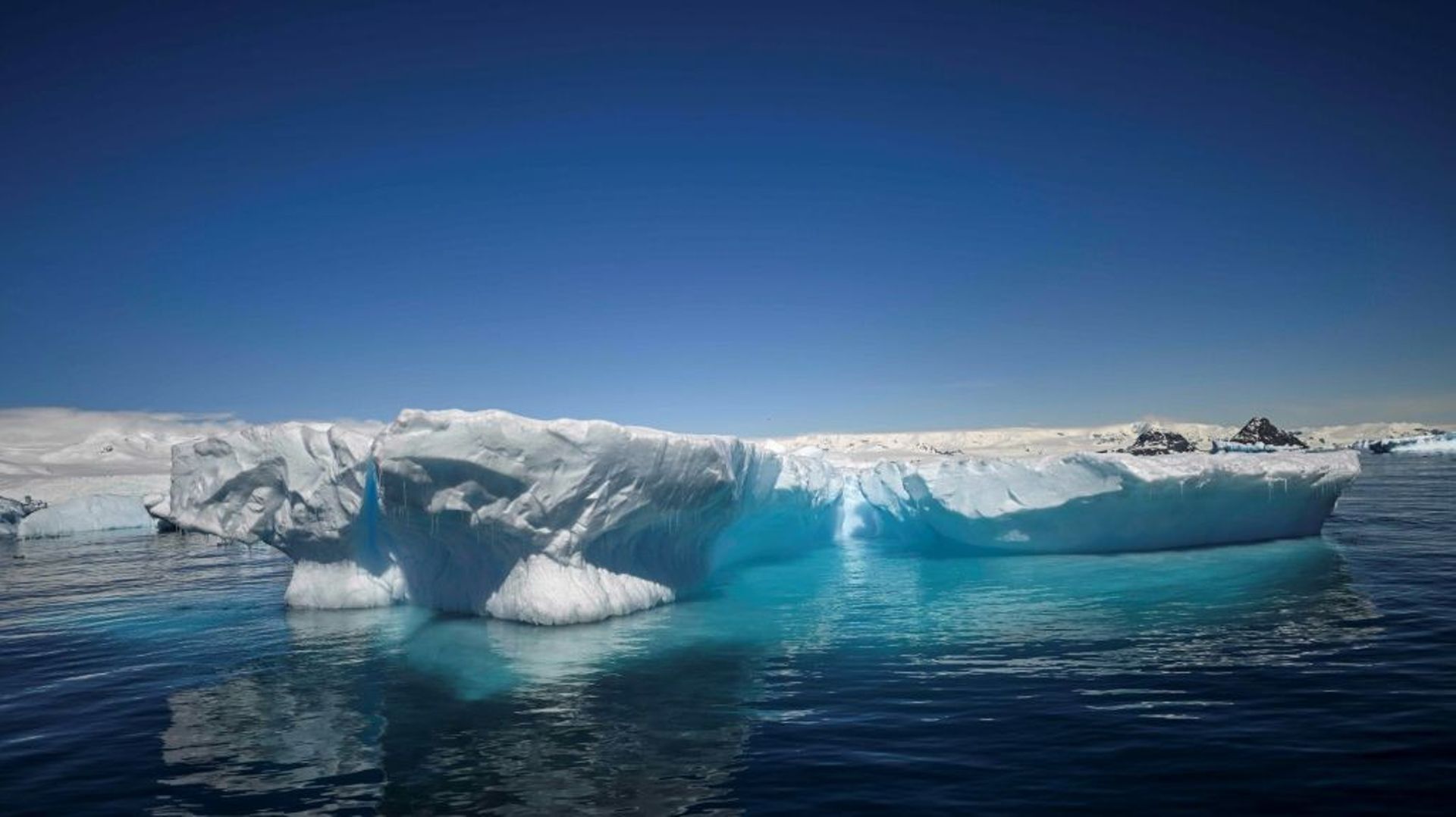 Le plus grand iceberg du monde s’immobilise près d’une île riche en ...