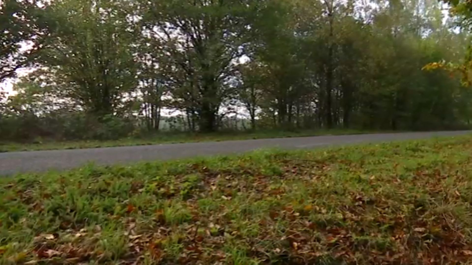 Habay et Fauvillers: un projet de jardin cinéraire en forêt - RTBF Actus